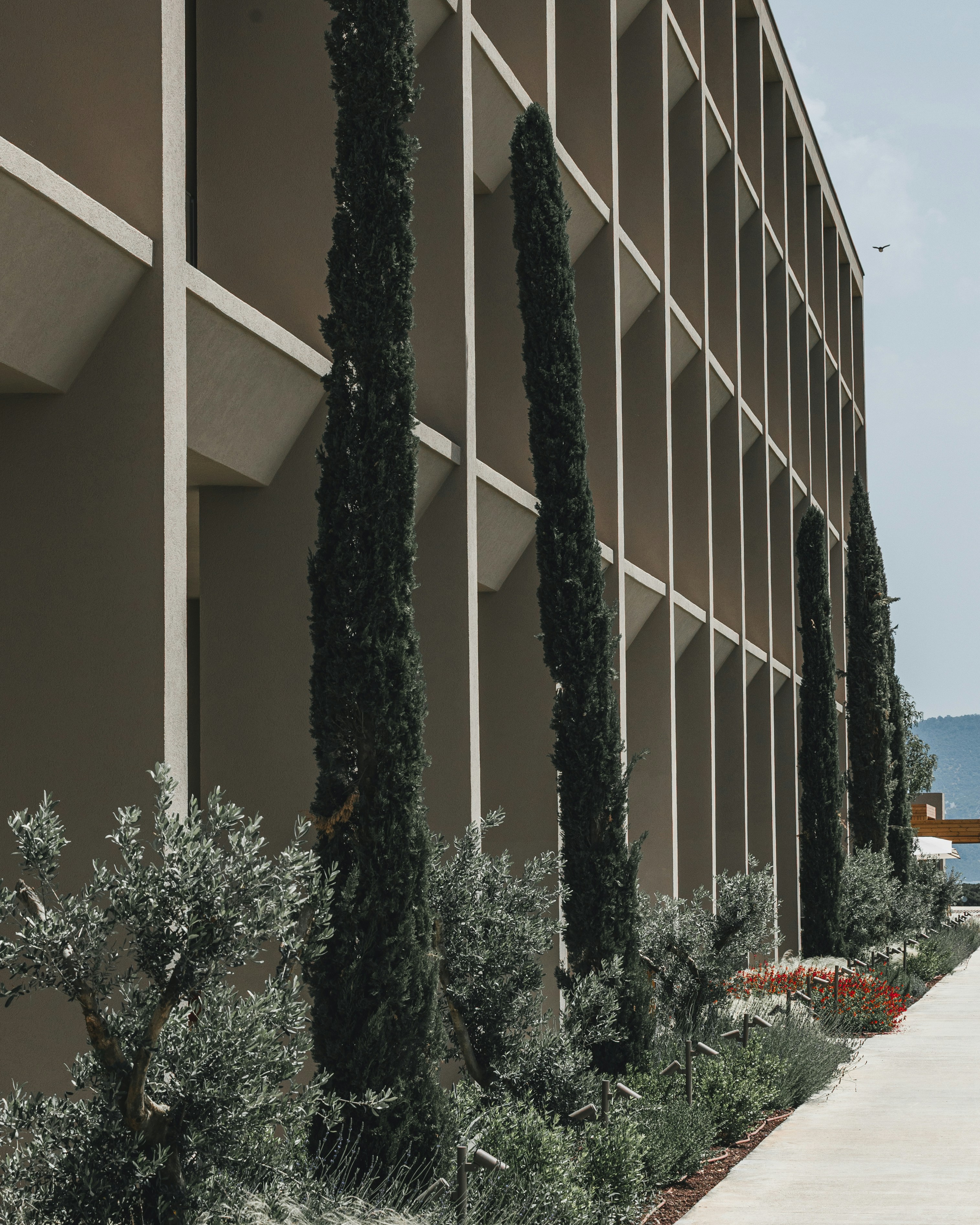 Shaded Columns and Row of Arboreal Sentinels Along a Modern Facade