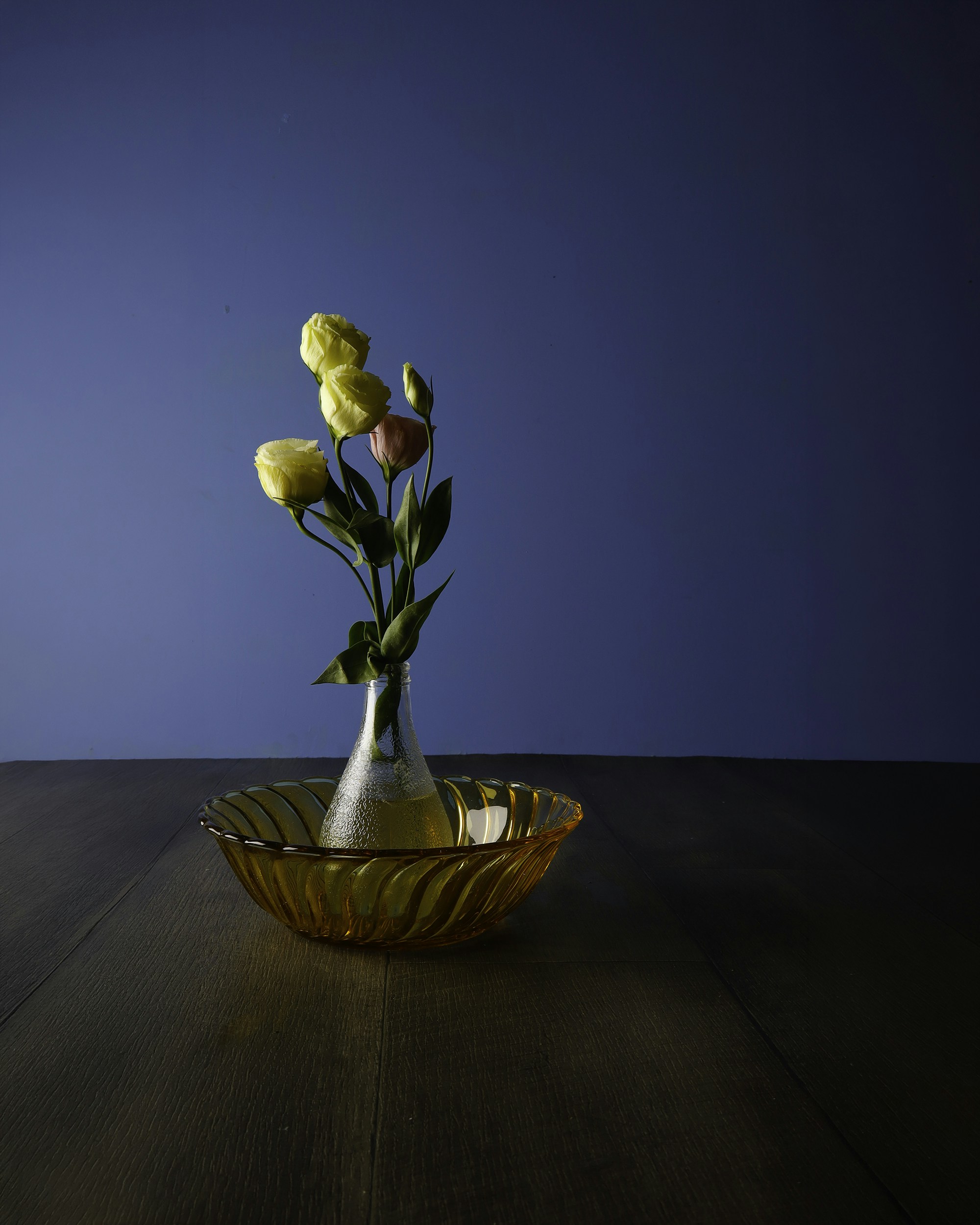 Yellow Blooms in a Glass Vessel: Quiet Glow Against a Deep Blue Backdrop