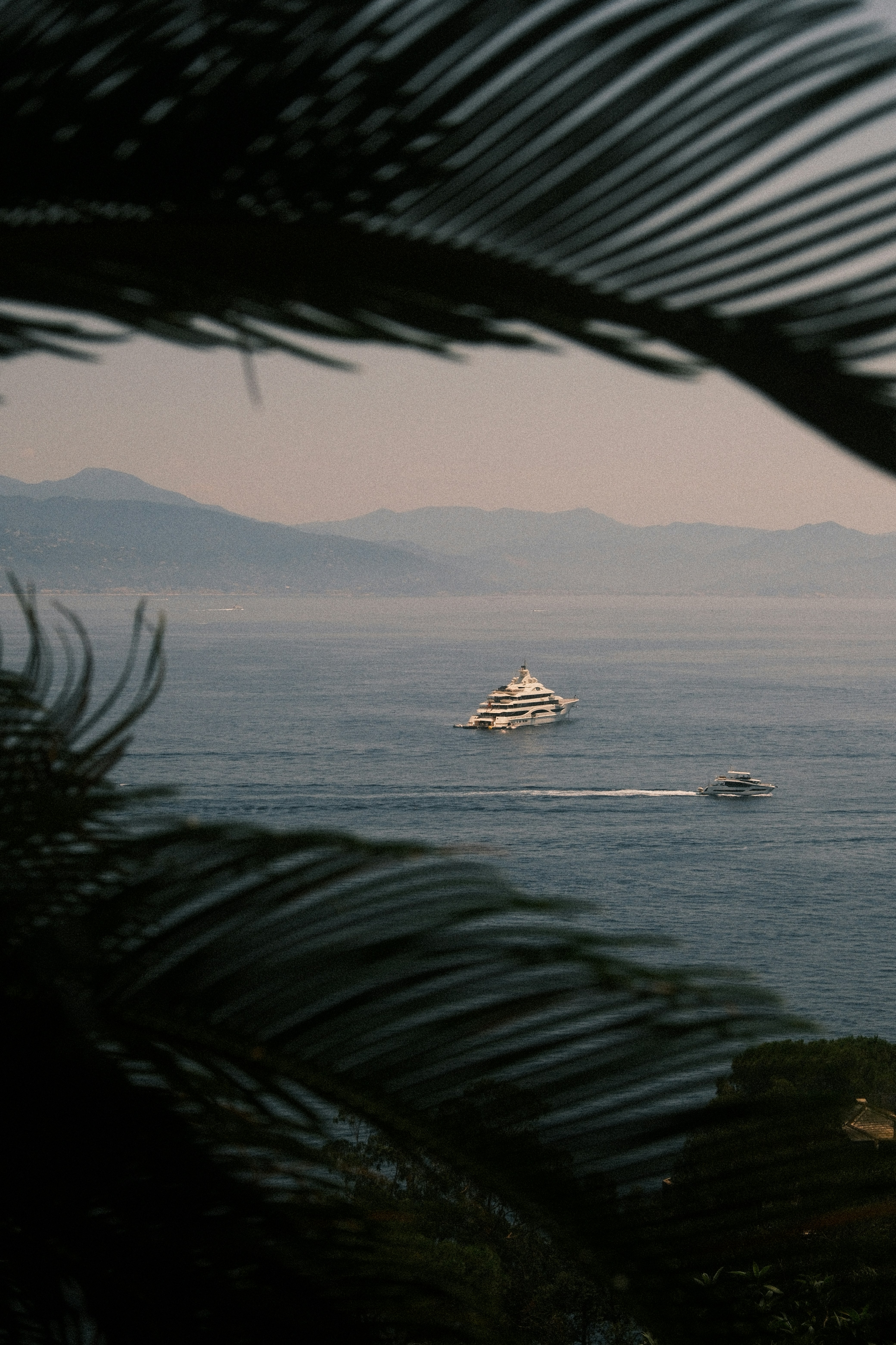 A distant luxury yacht sails across calm blue waters, framed by dark tropical fronds in the foreground, creating a sense of depth and distant shorelines.