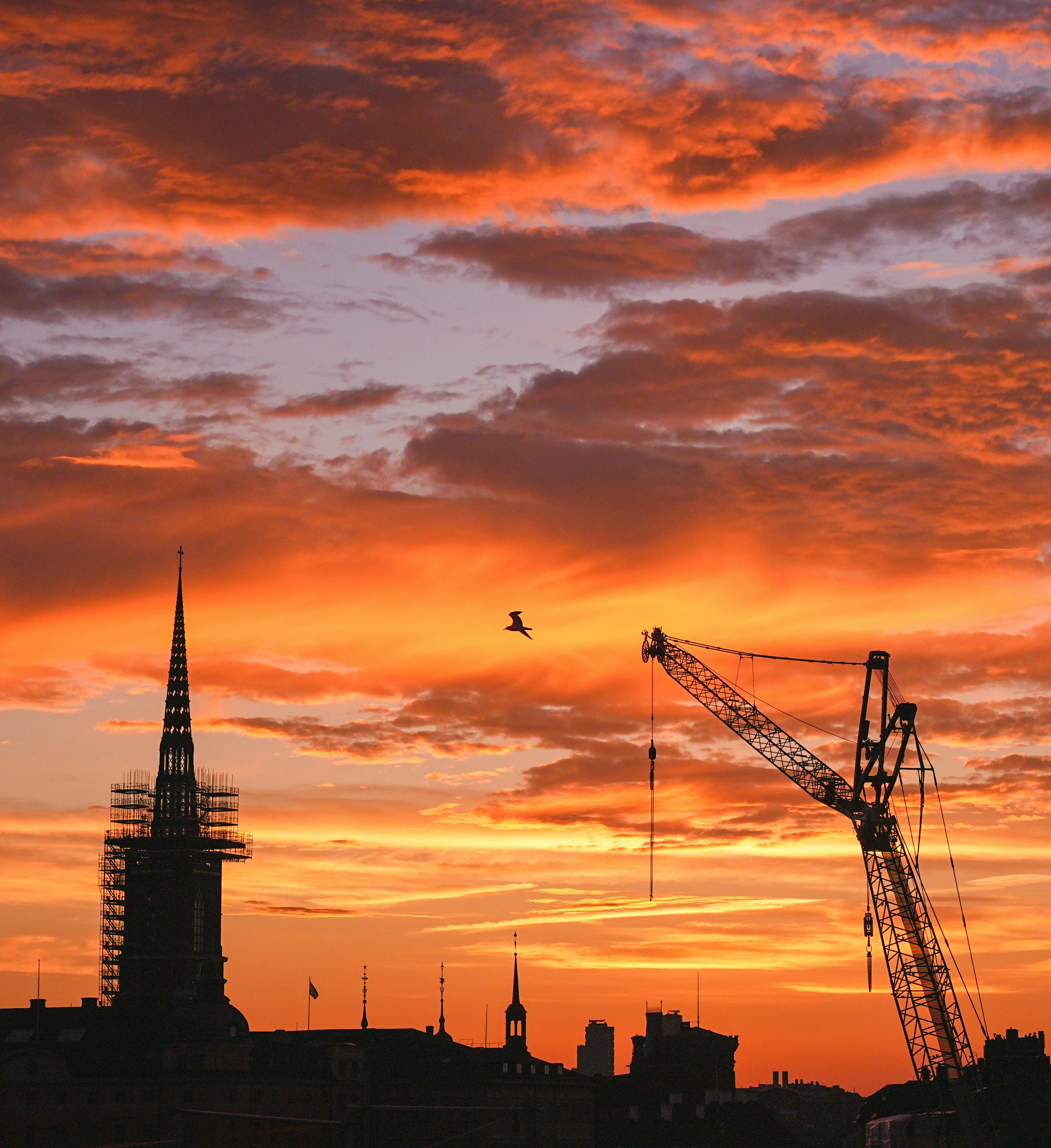 Crane and Cathedral Silhouette at Ember Sky