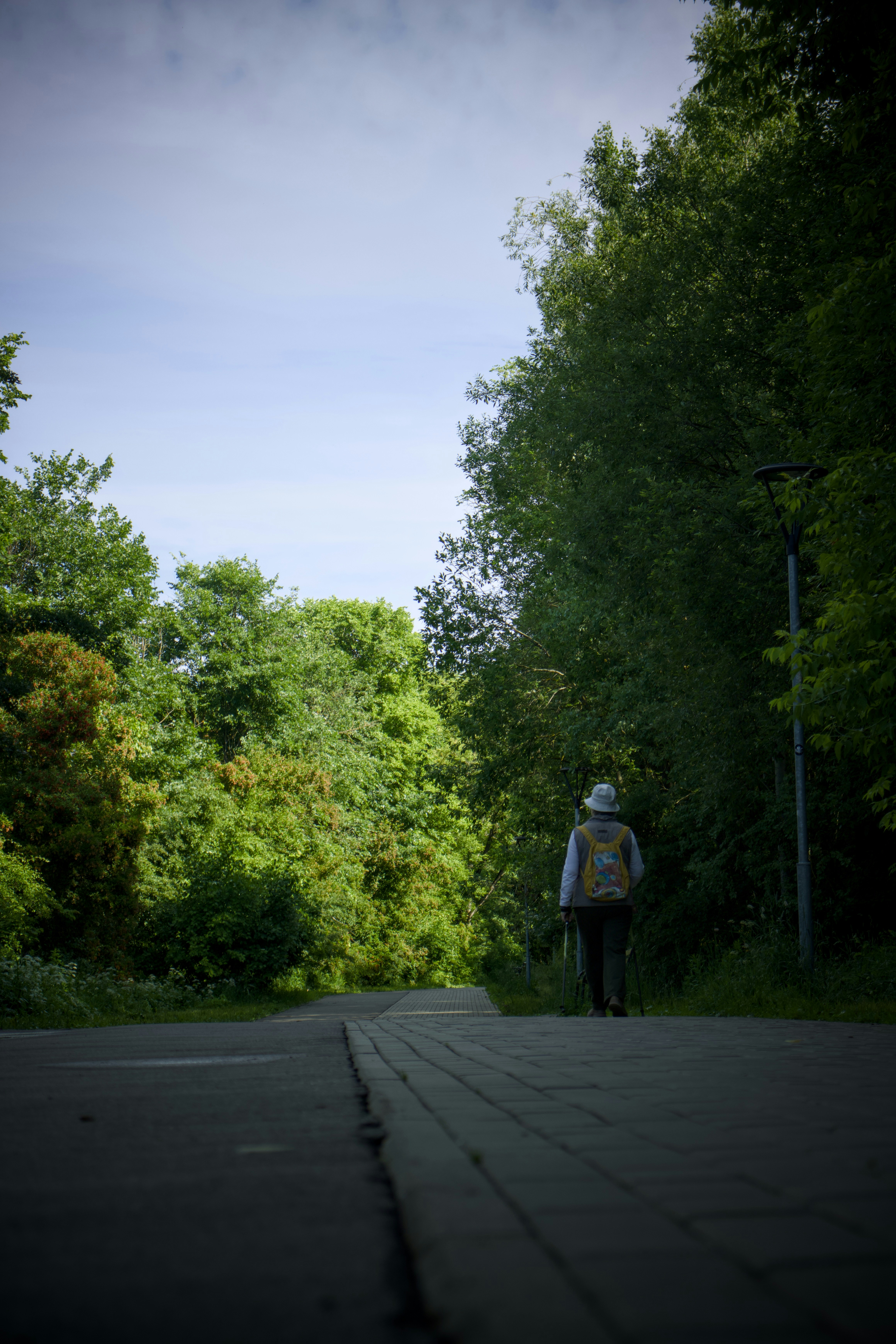 A lone walker on a sunlit park path
