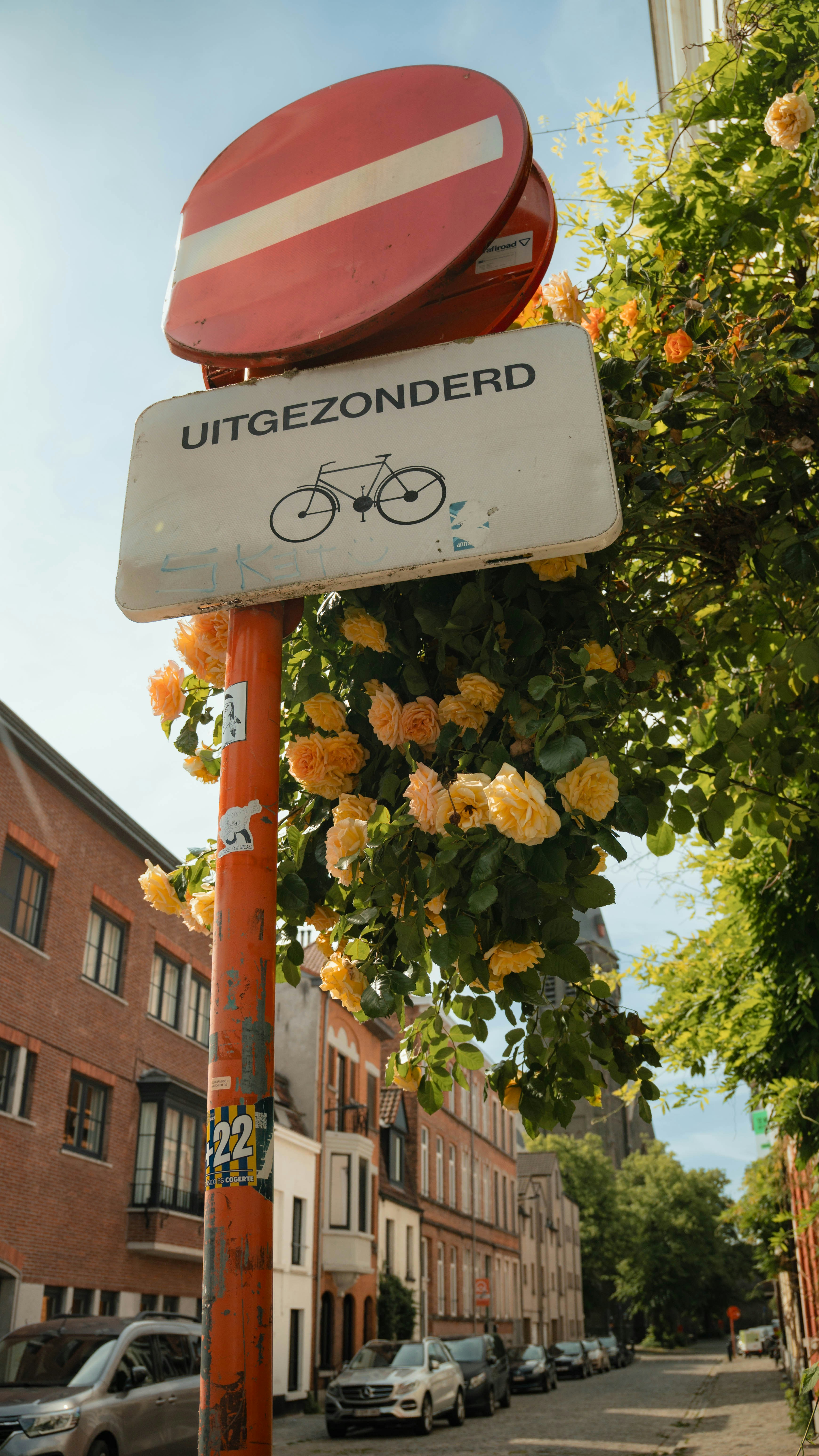 No Entry, Floral Arc: A Street Sign Framed by Roses on a Sunny Amsterdam-Style Lane