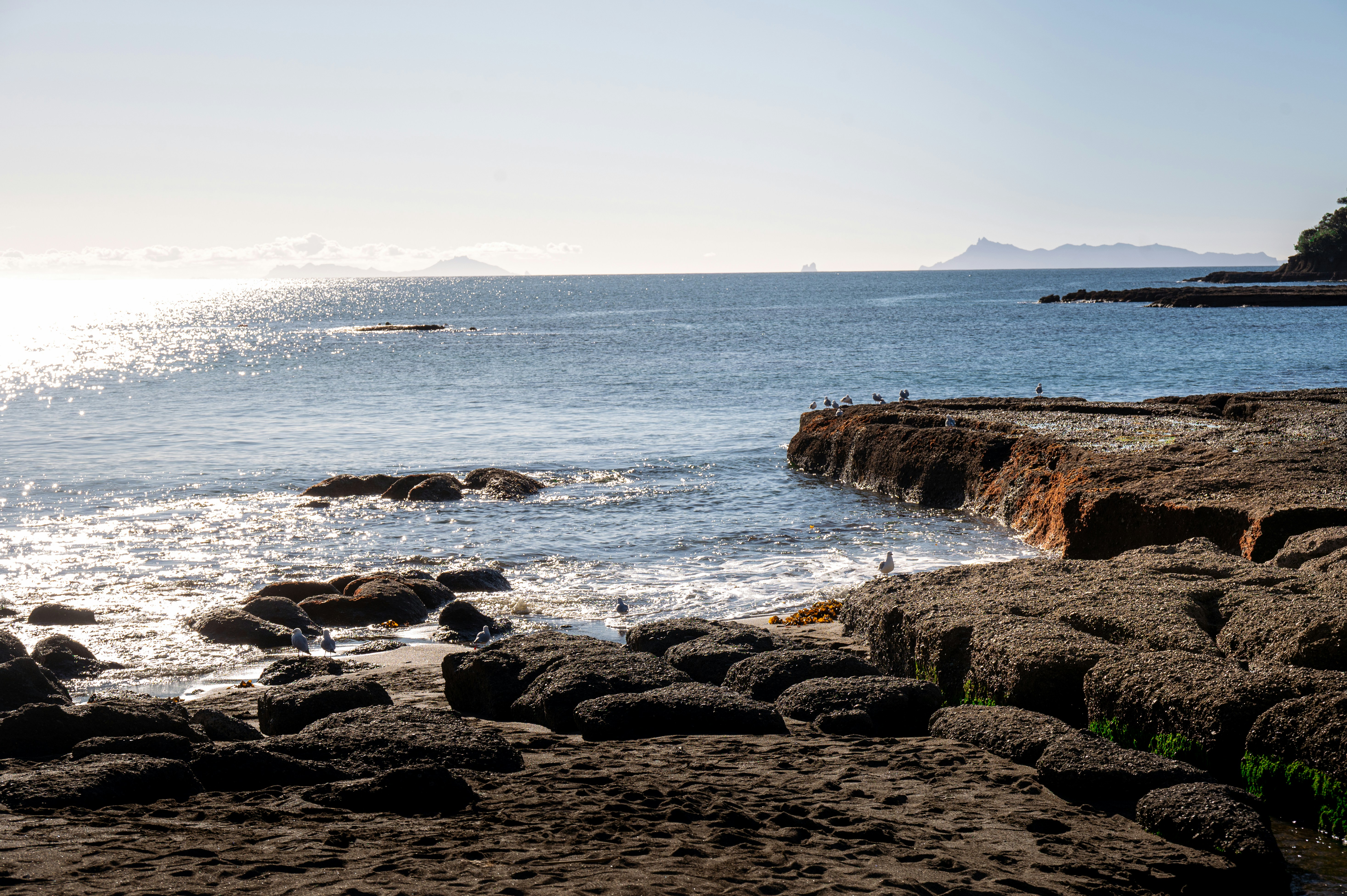 Sunlit shoreline: rugged rocks meet calm sea under a bright horizon