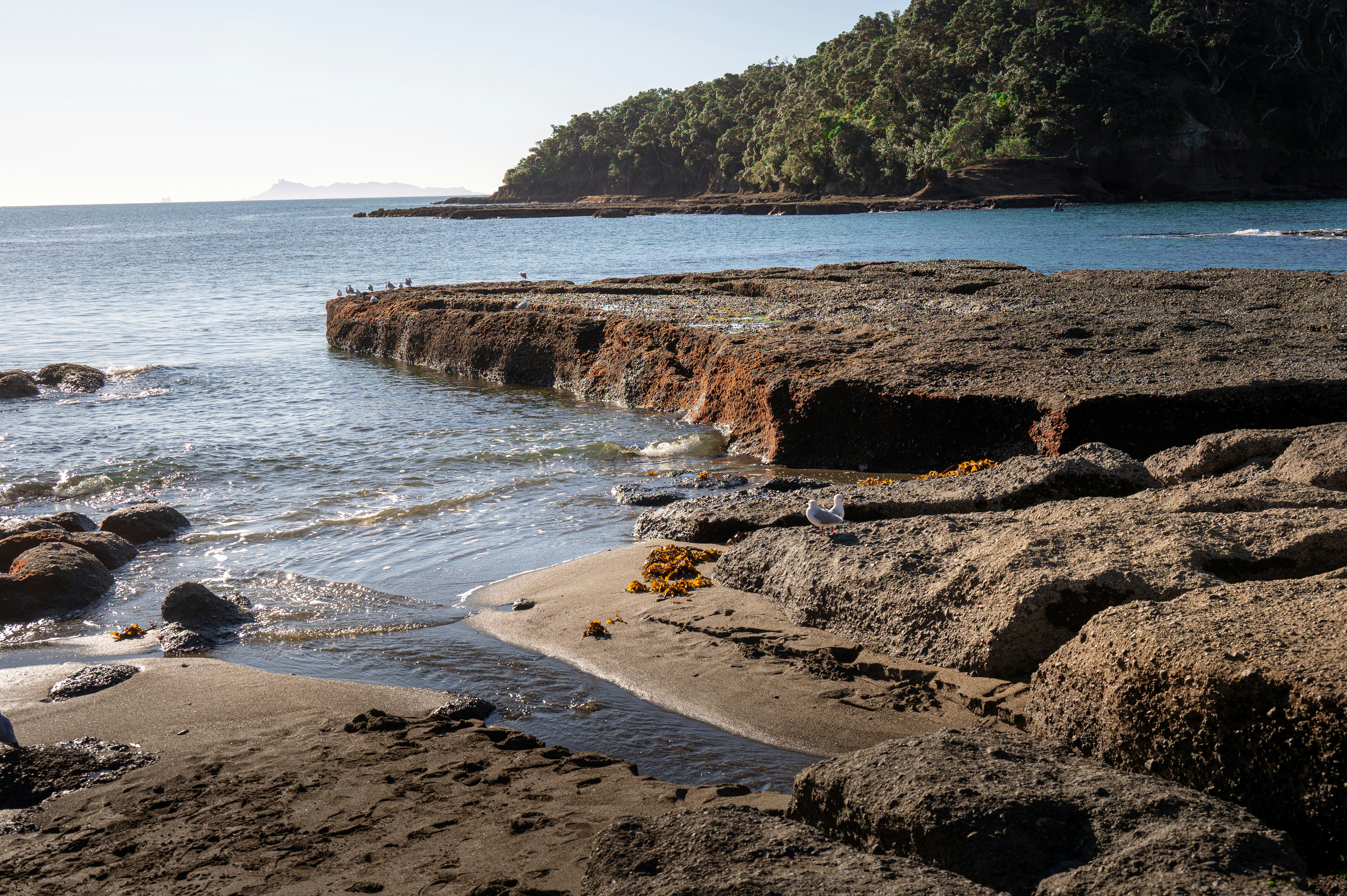 Coastal Rock Terrace Meeting the Calm Sea