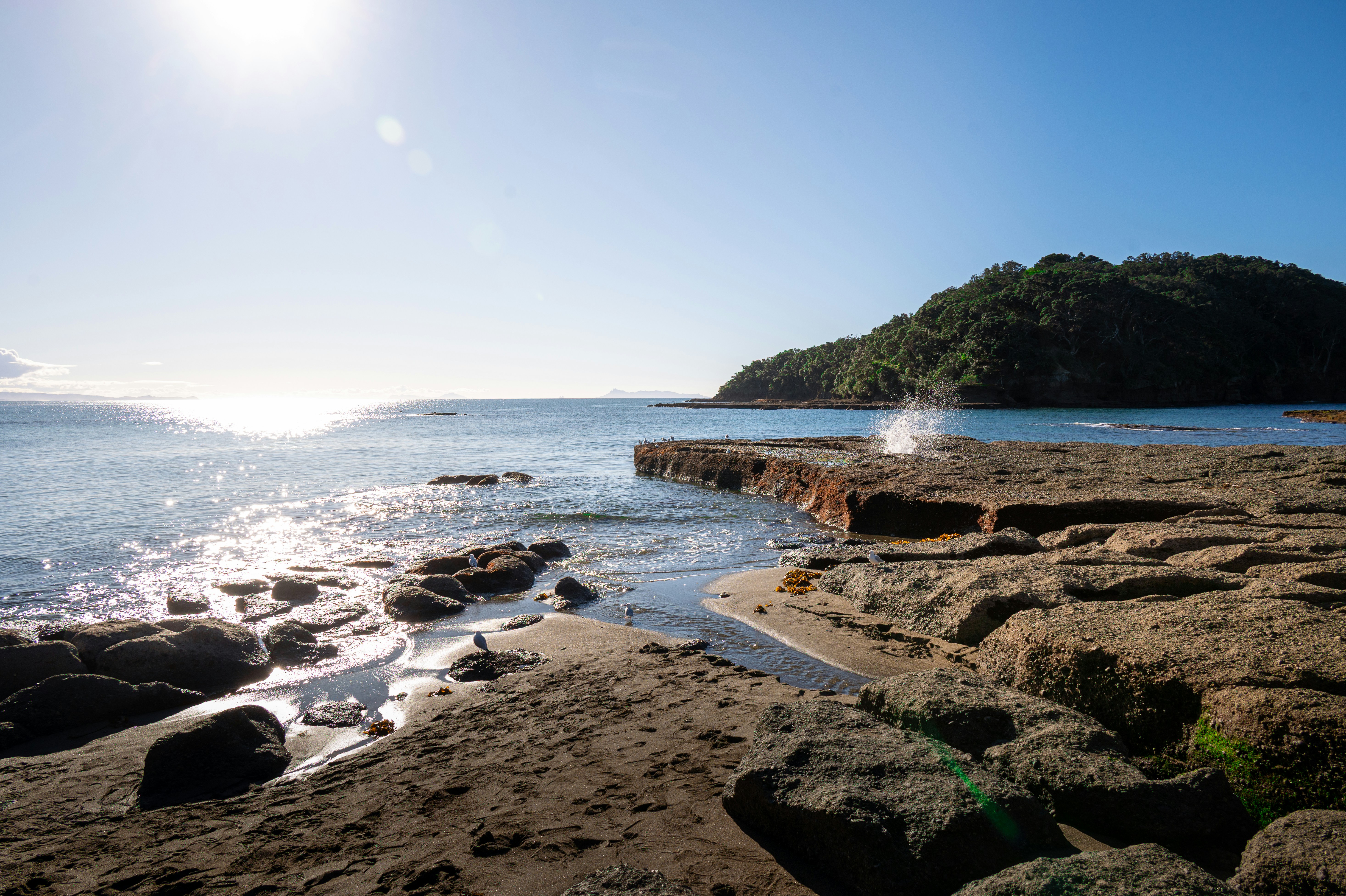 Sunlit Rocky Shore at Dusk (Coastline and Sea Spray)