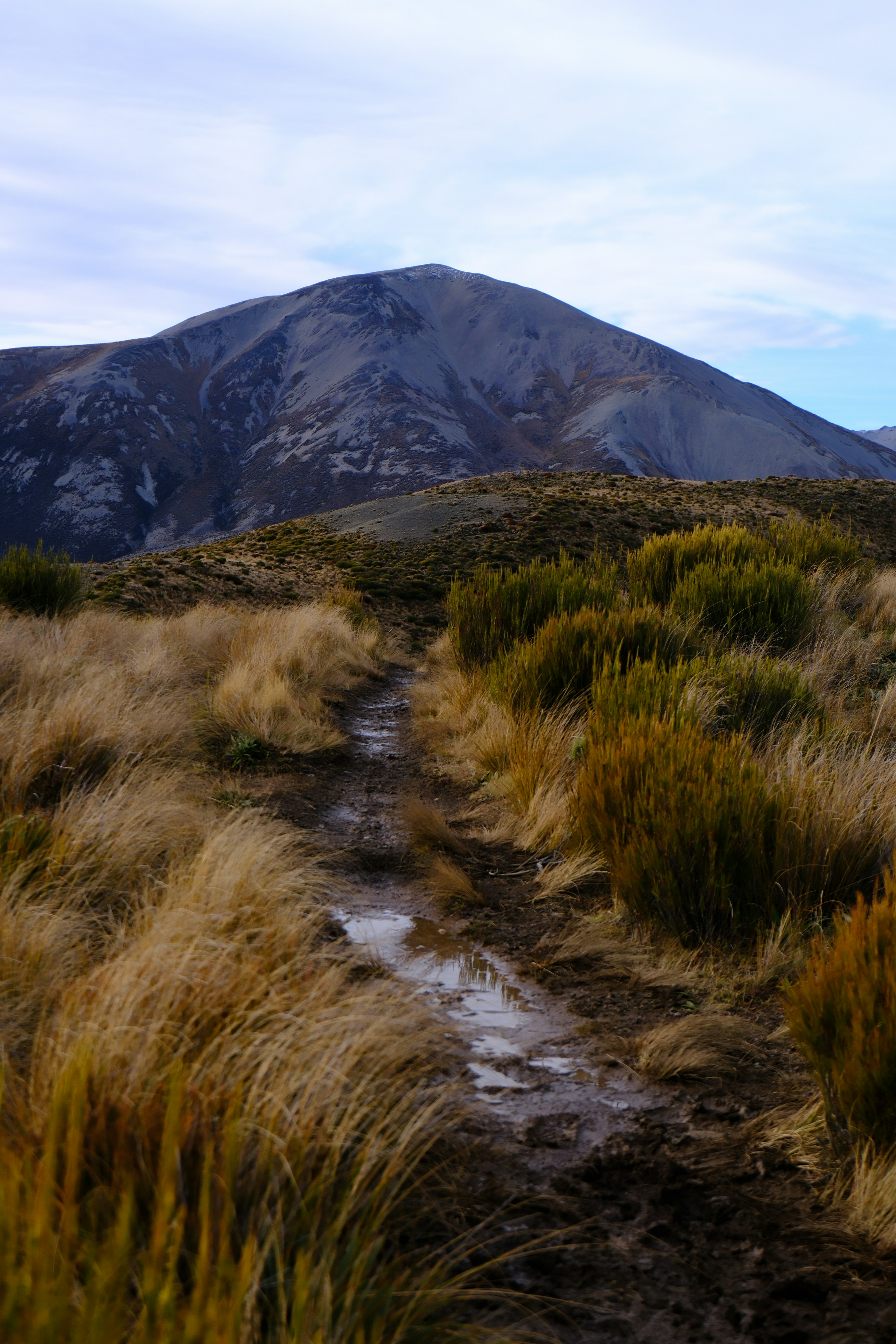 Trail toward a solitary mountain peak