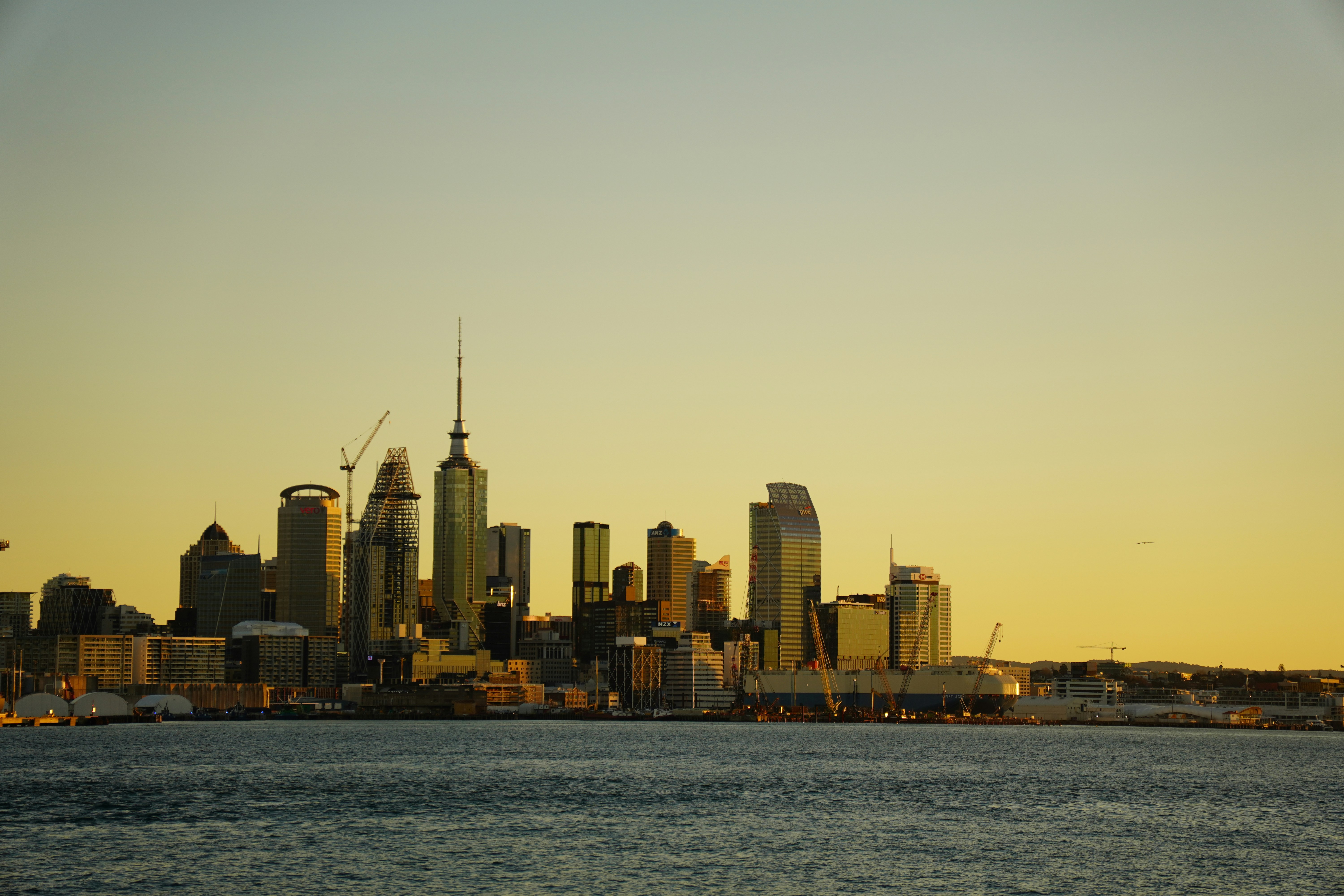 Sunlit City Skyline Quietly Emerges Over Calm Harbor