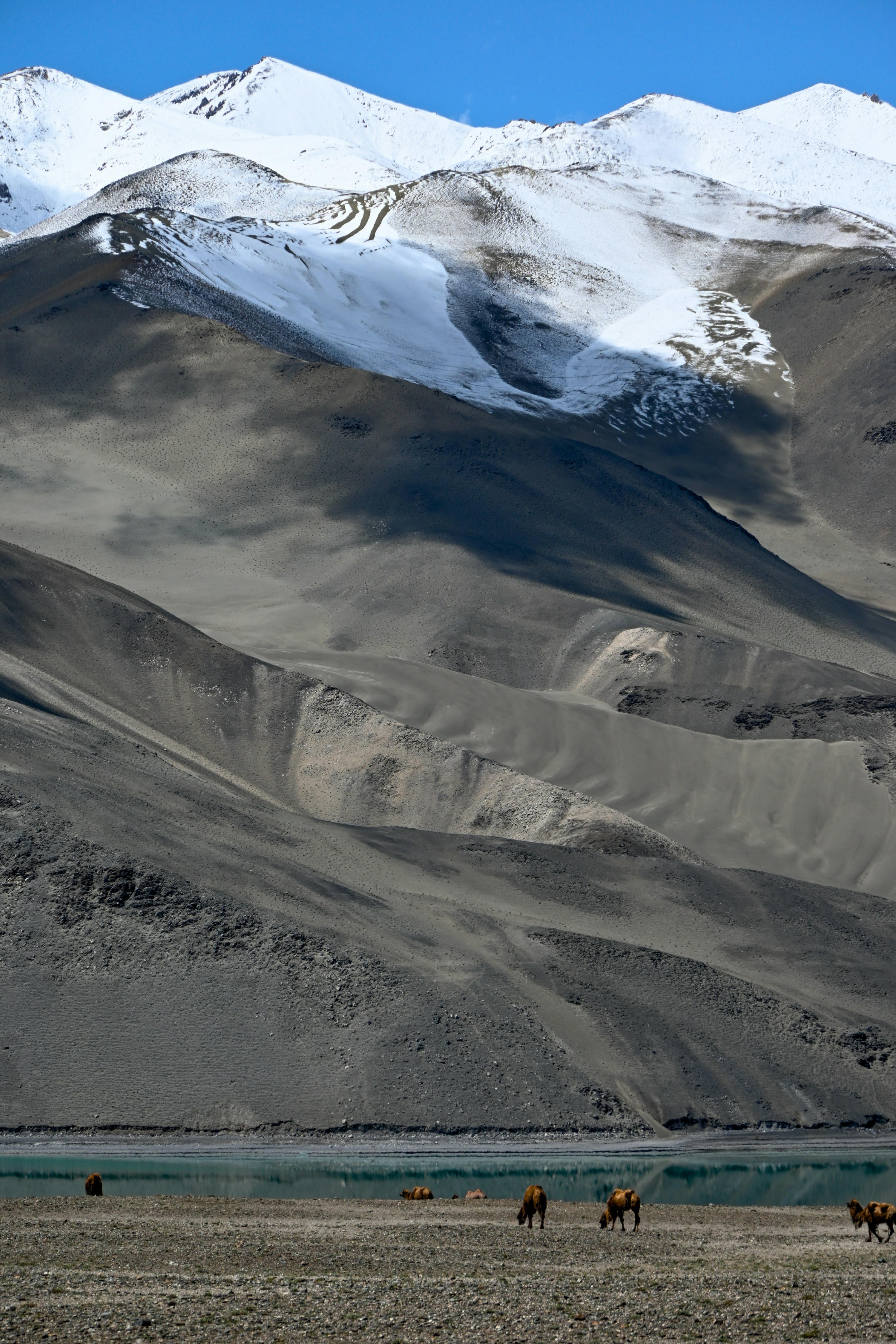 Glacial Ridges Over a Riverine Plain