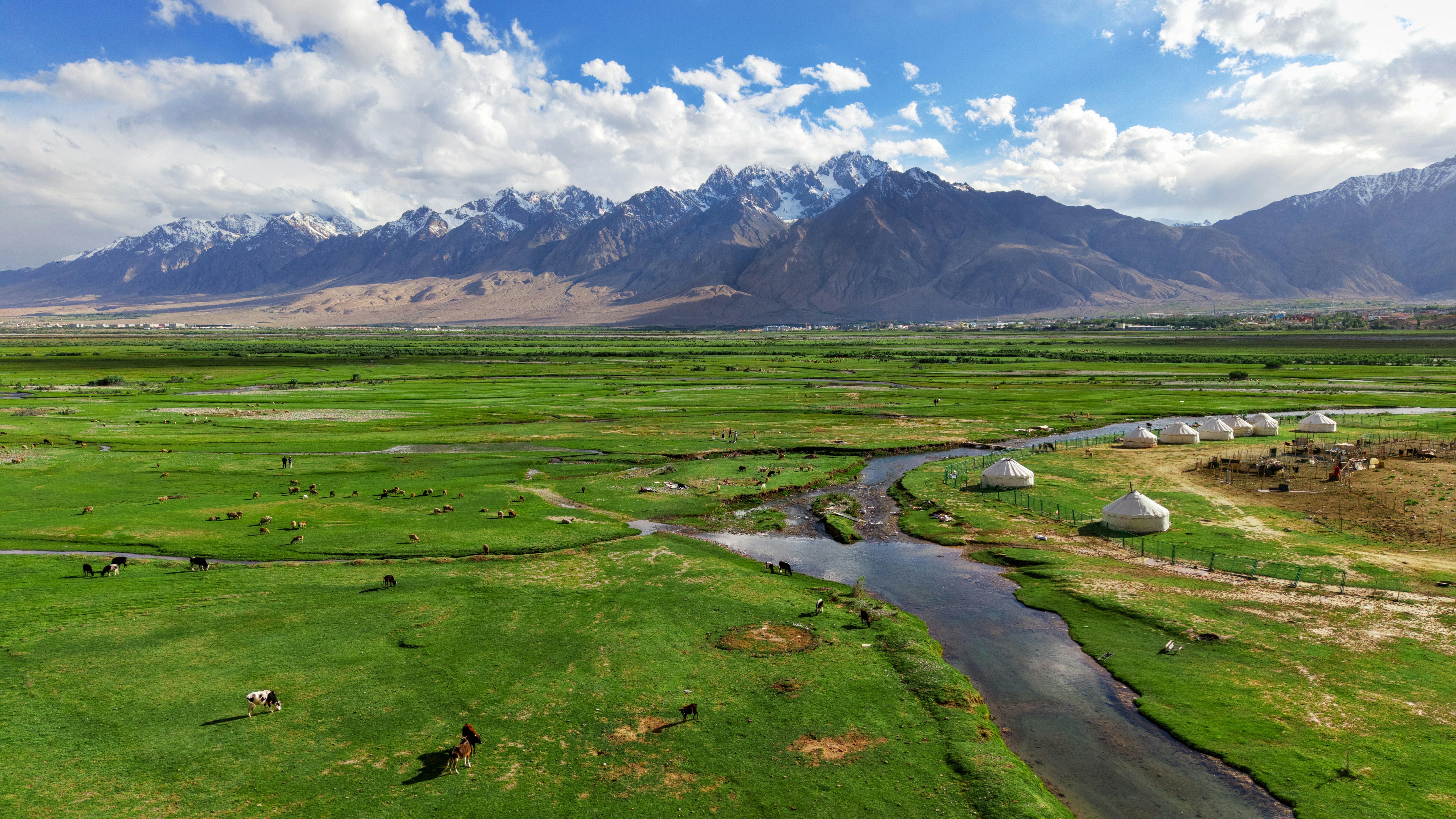 Expansive green fields and a winding river glide toward distant, snow-capped mountains; grazing yaks dot the plain and white yurts outline the riverbank.
