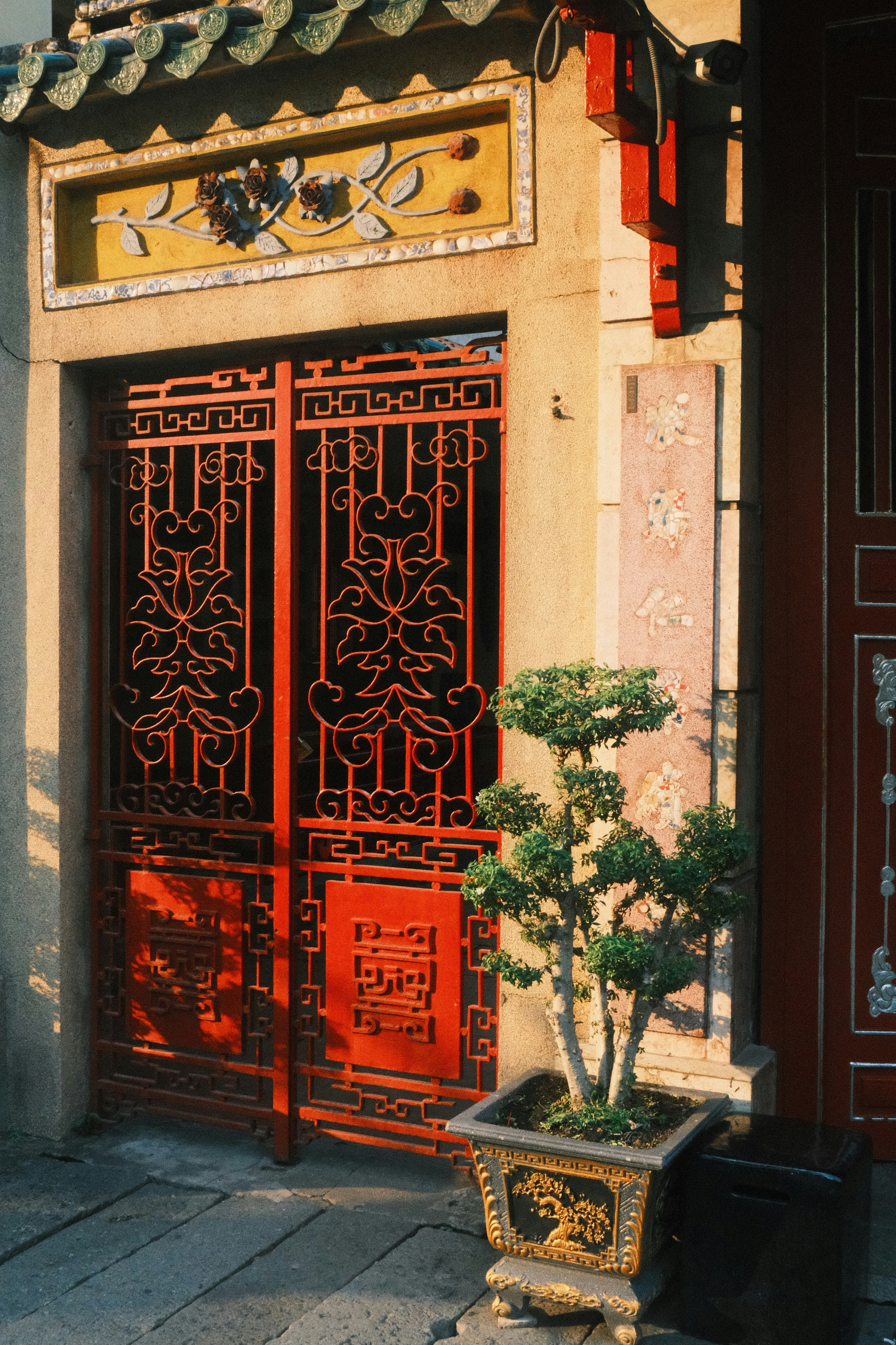 Red Gate and Bonsai in Warm Autumn Light