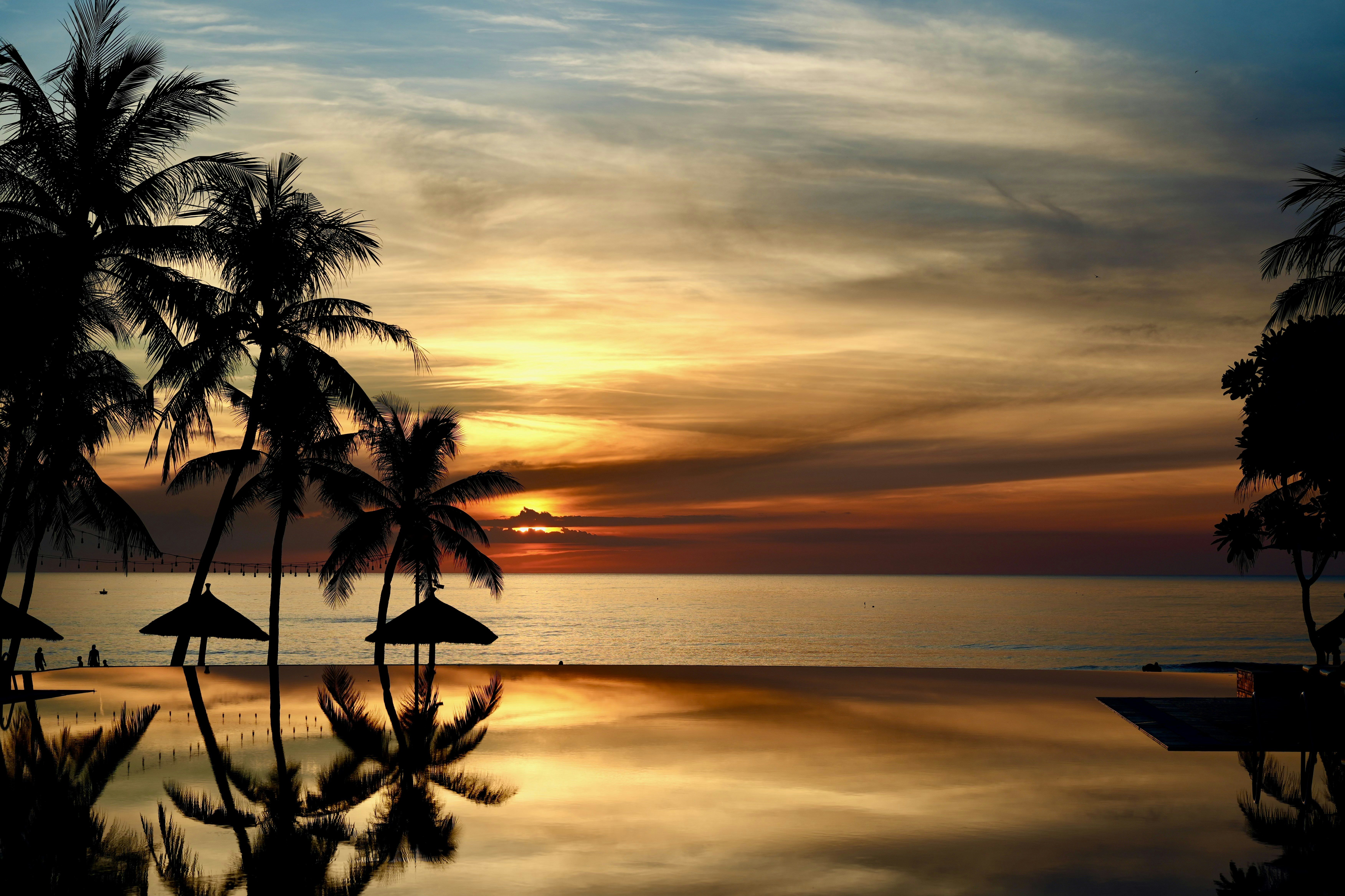 Vibrant sunset over calm ocean with silhouetted palm trees.