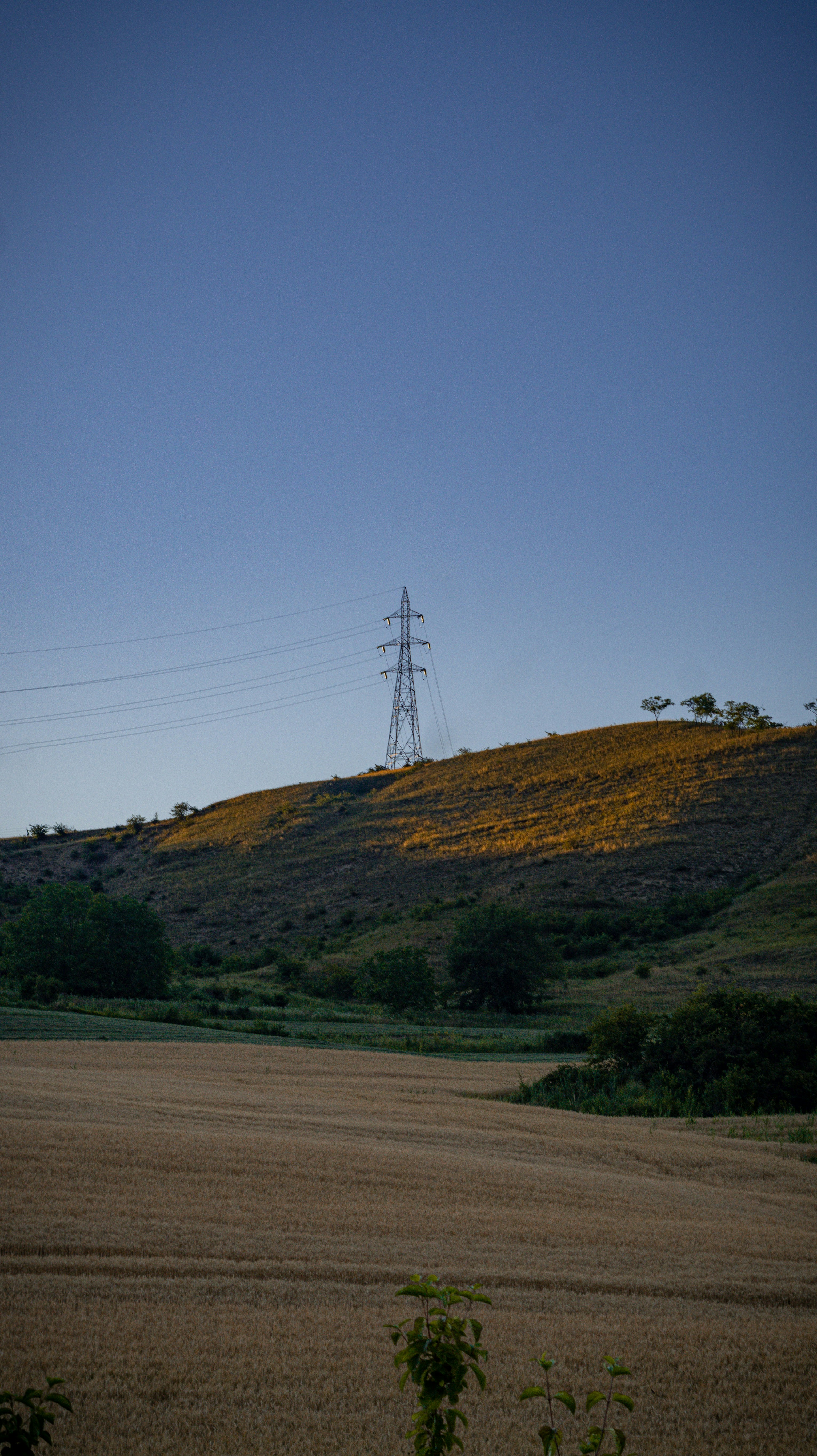 Power on the Hills: A lone transmission tower Amid Golden Slopes