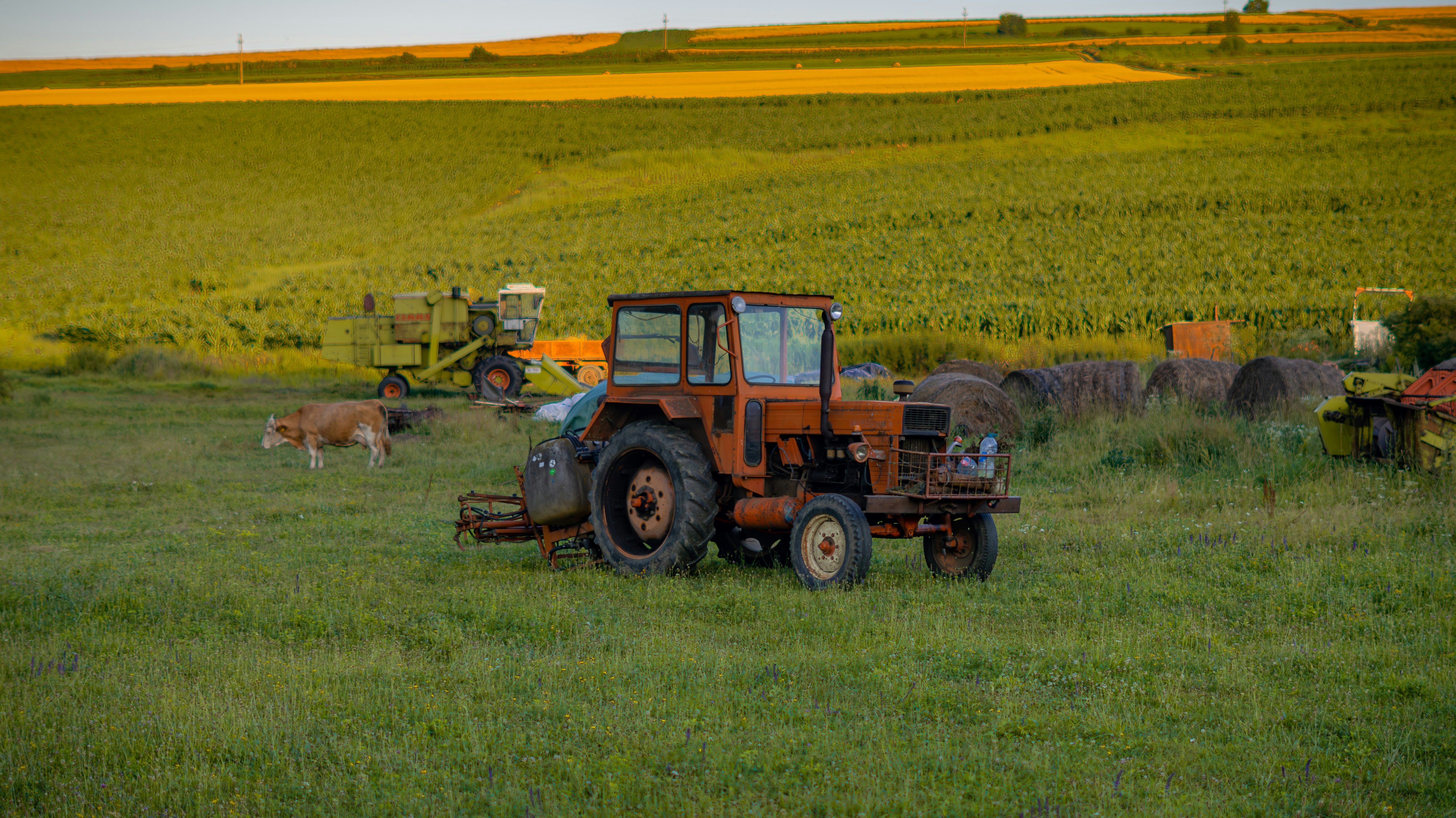 Rust andgreen: A Weathered Tractor in a Quiet Field