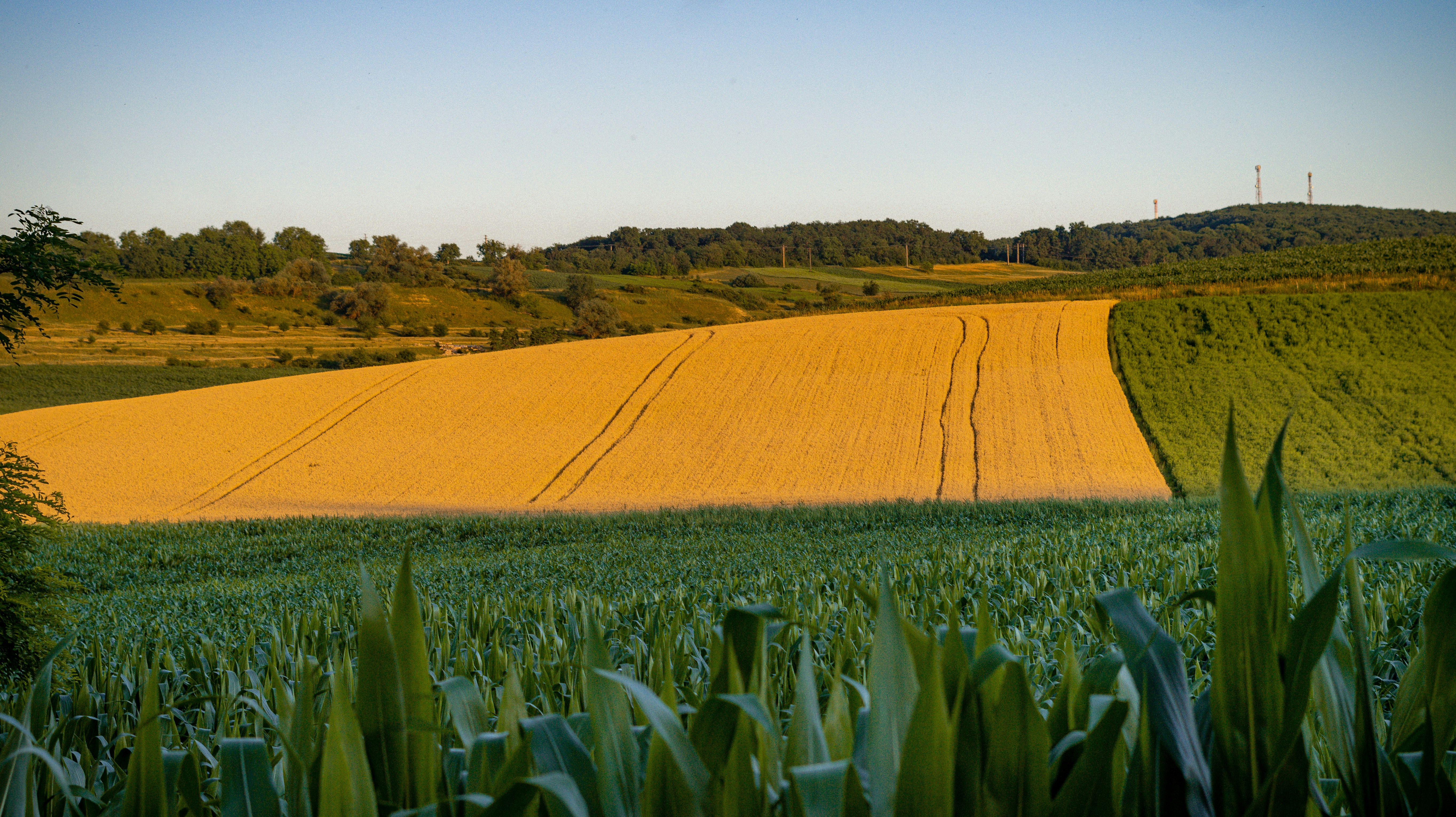 Harvested Valley under a Quiet Blue Horizon