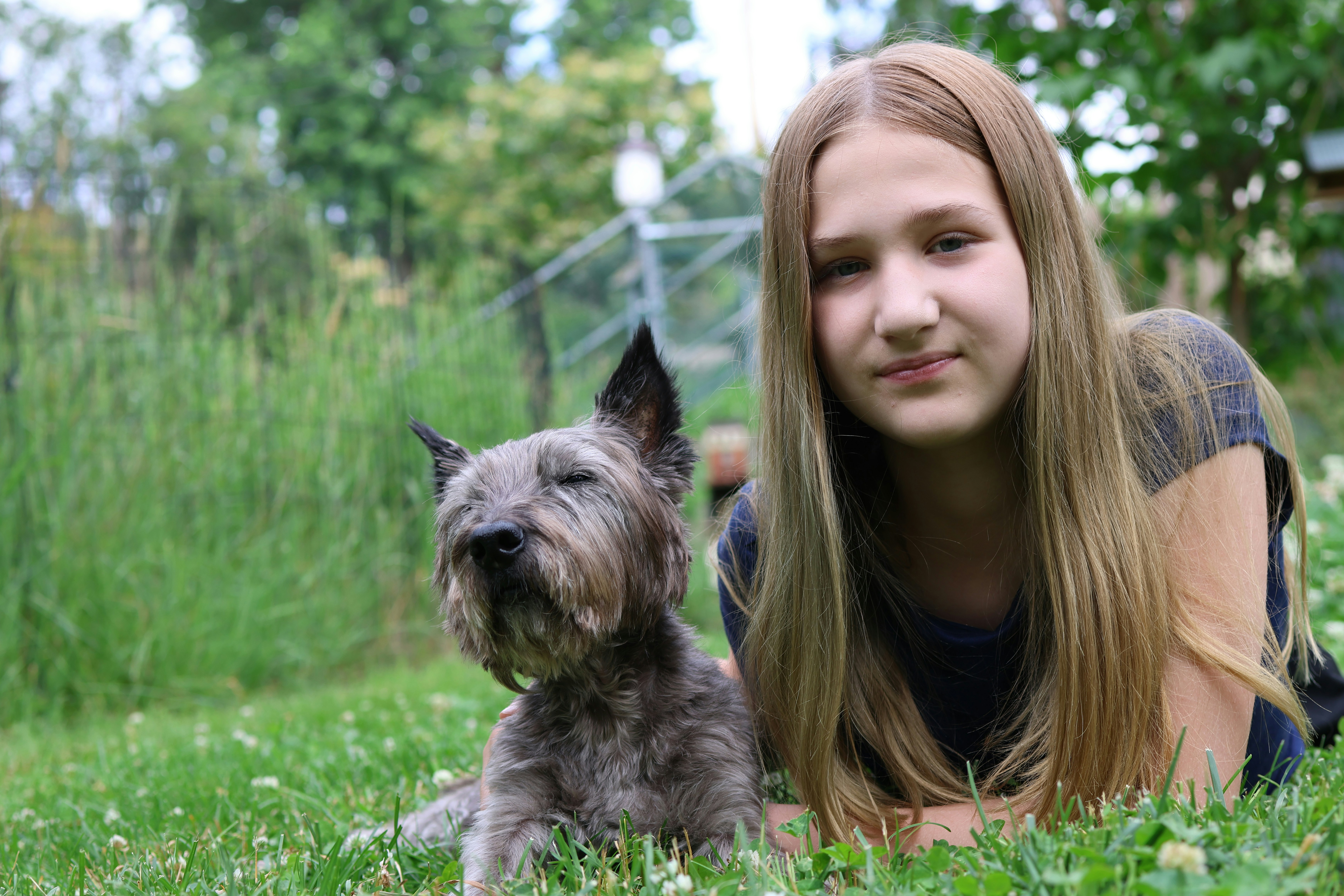 Girl and Airedale: Quiet Bond in a Sunlit Yard