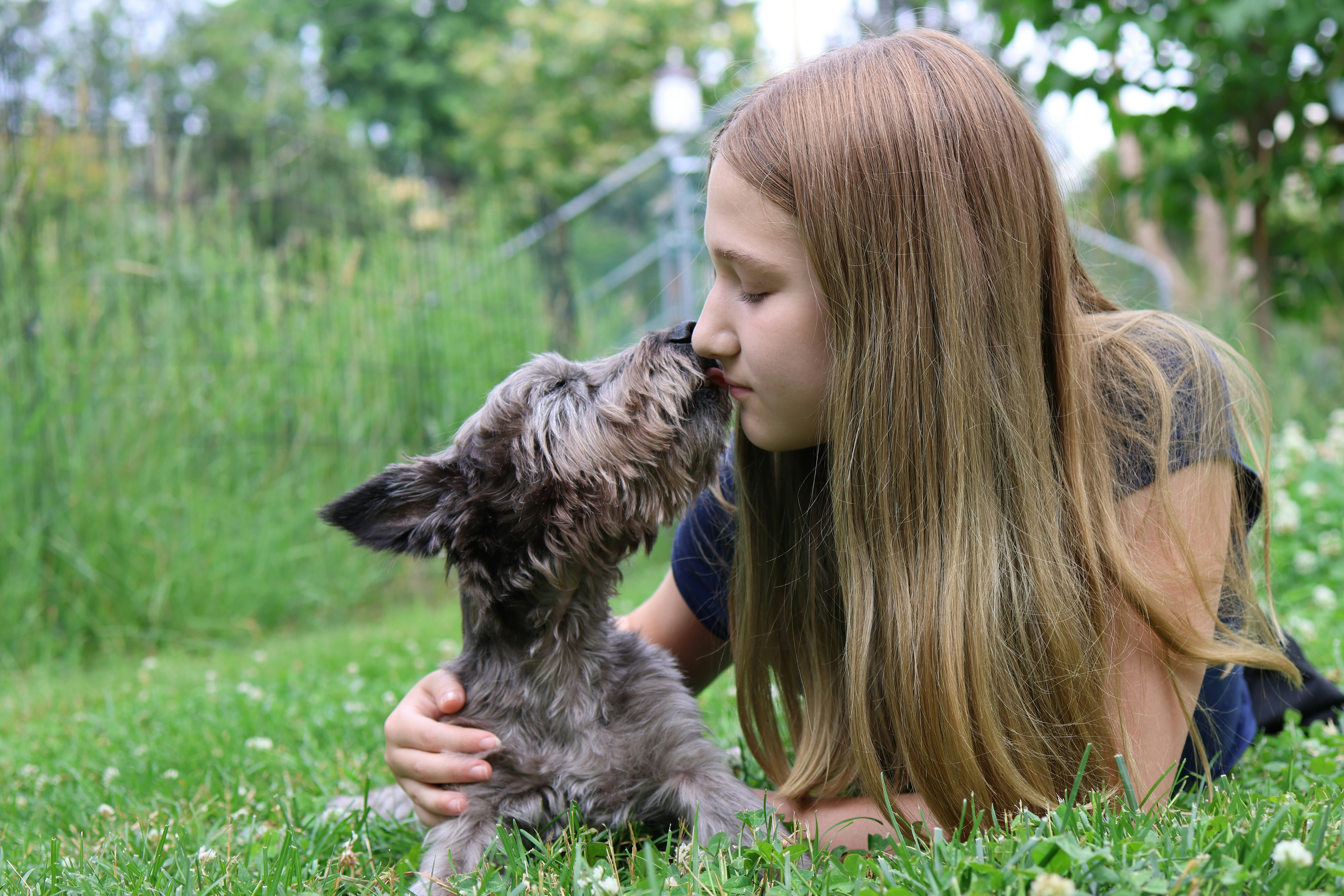 Kiss of the Grass: Girl and Pup Share a Quiet Moment