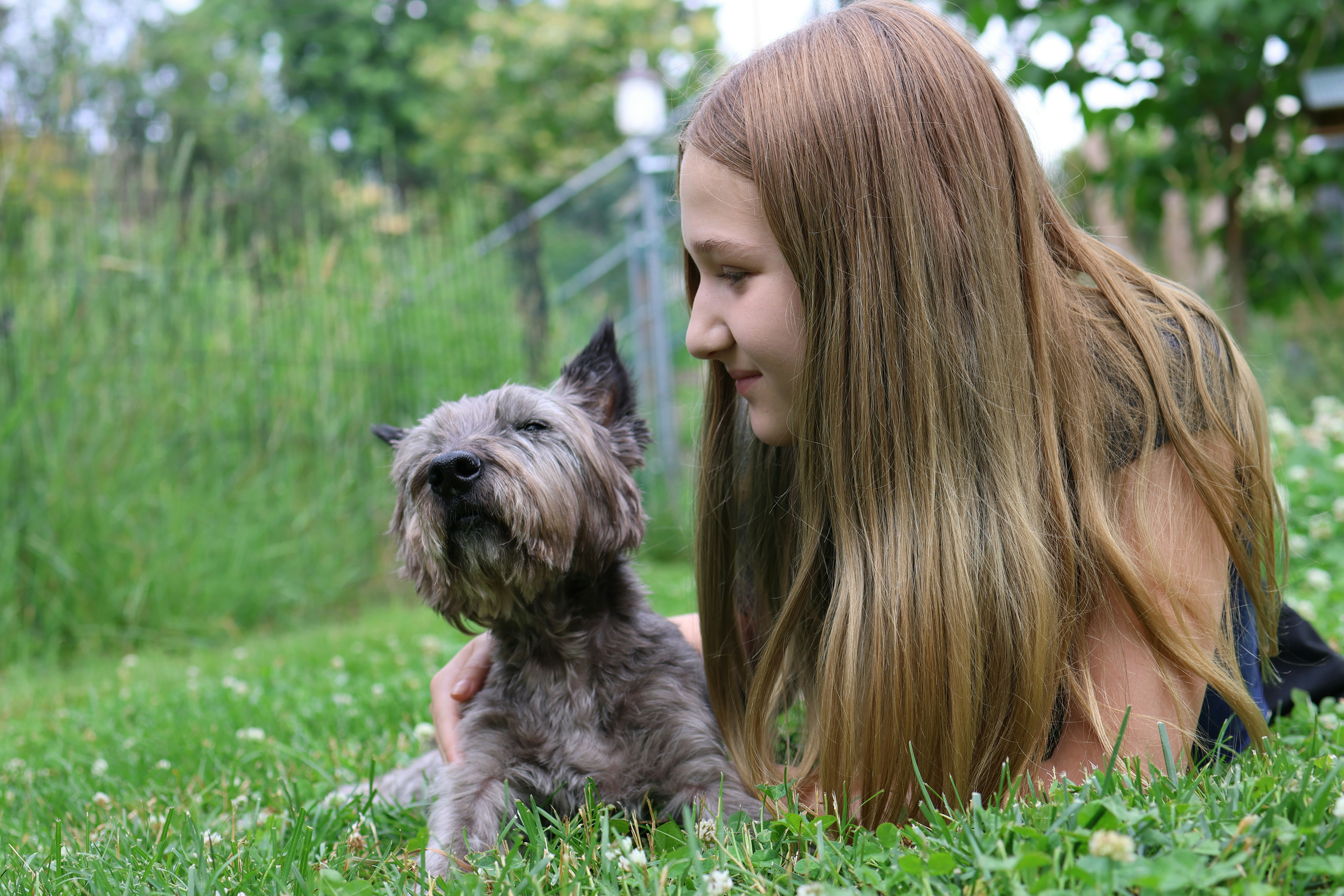 Girl and her small dog share a sunlit moment in a lush backyard