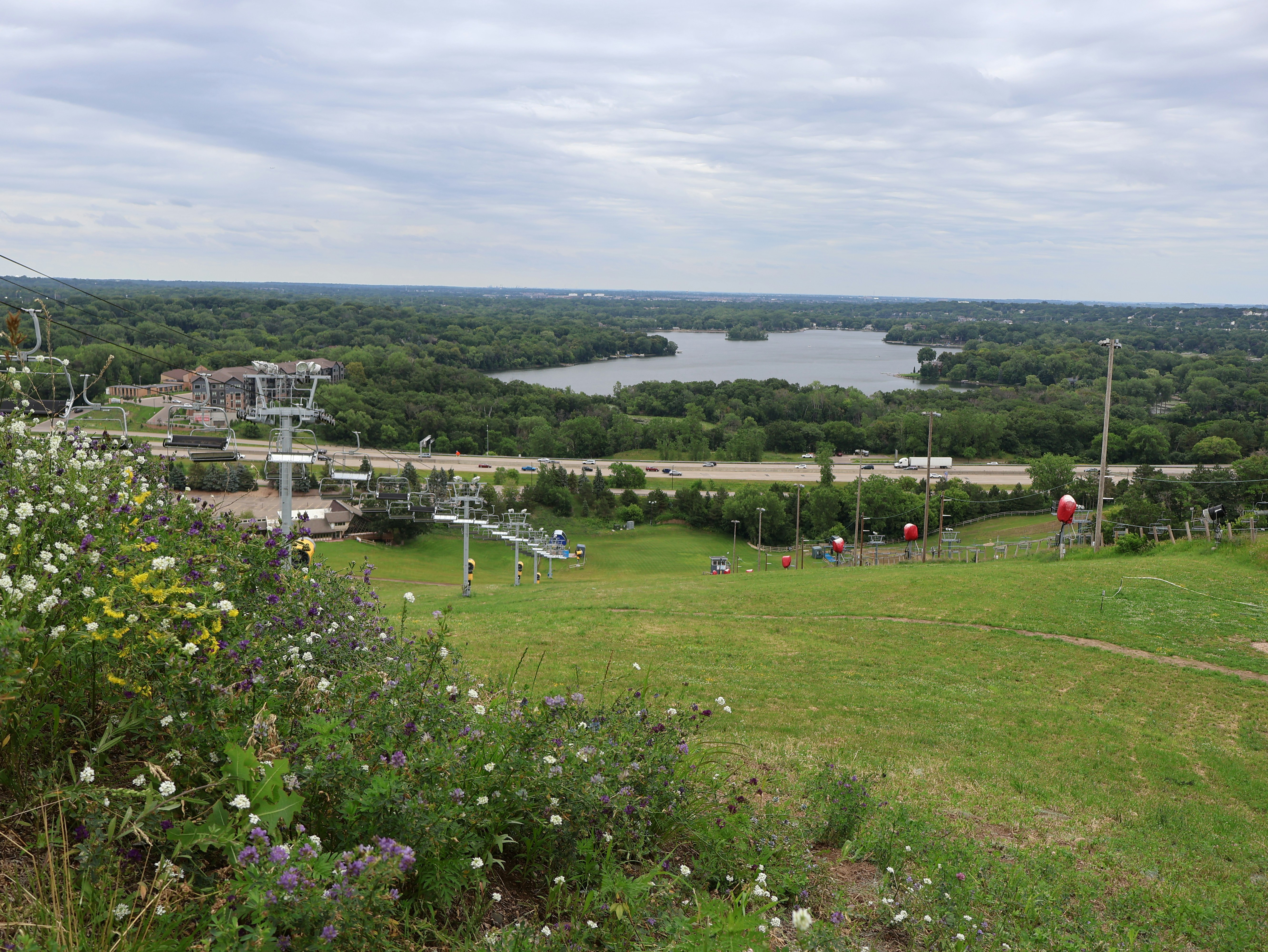 Hilltop Park Overlooking a Serene Lake Network