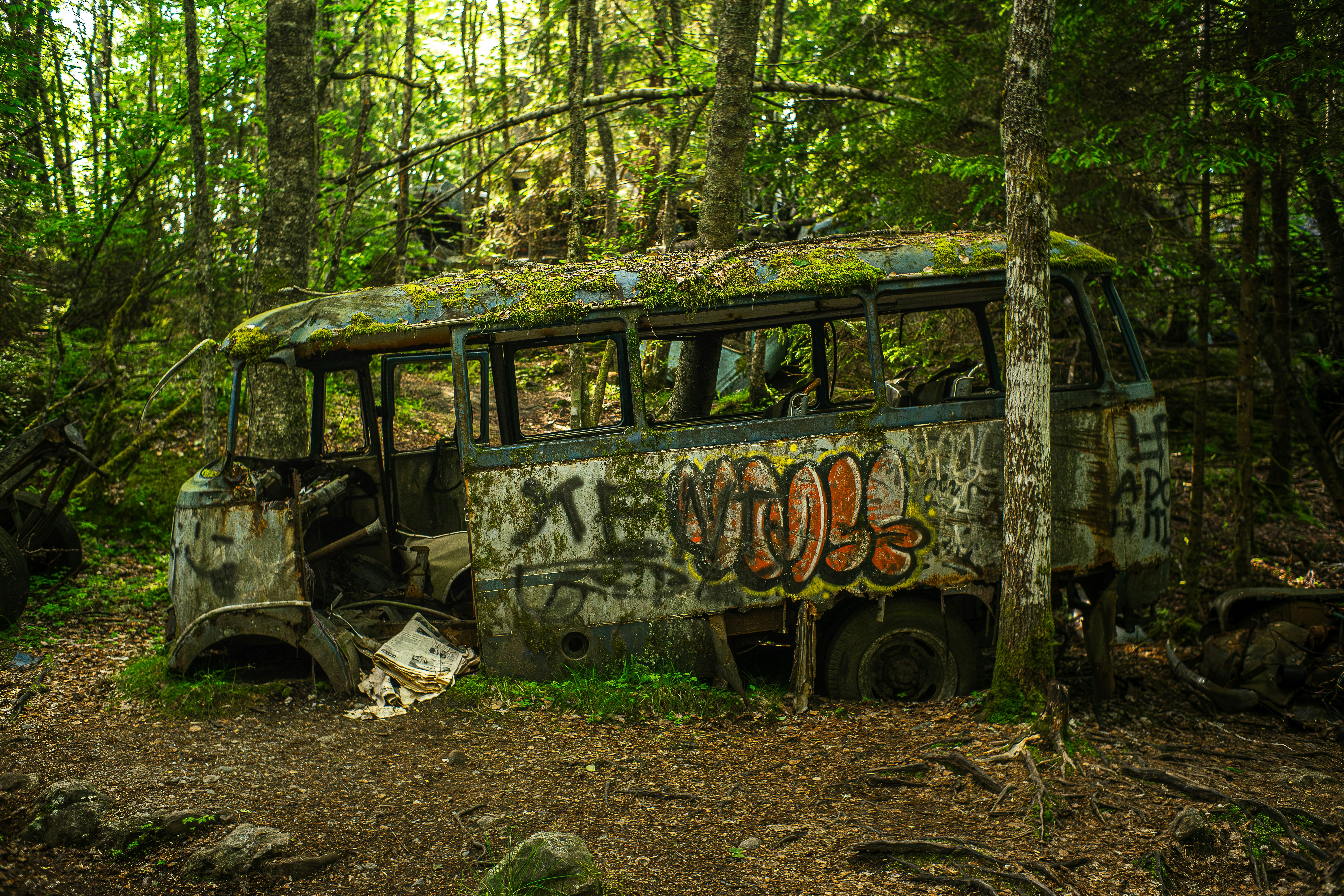 Weathered bus covered in graffiti and moss within a forest.