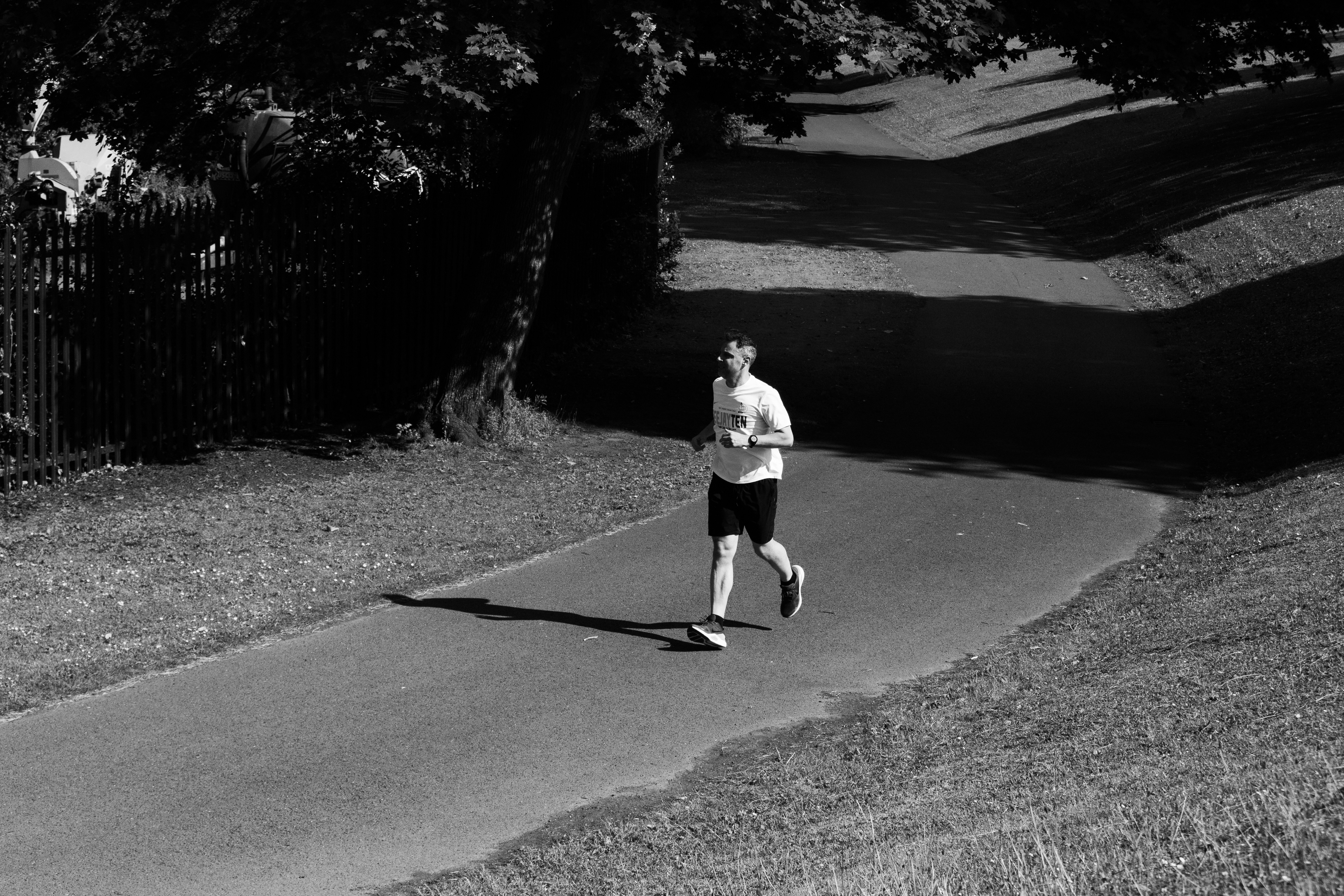 Solitary Stride: A Runner Traverses a Quiet Park Road