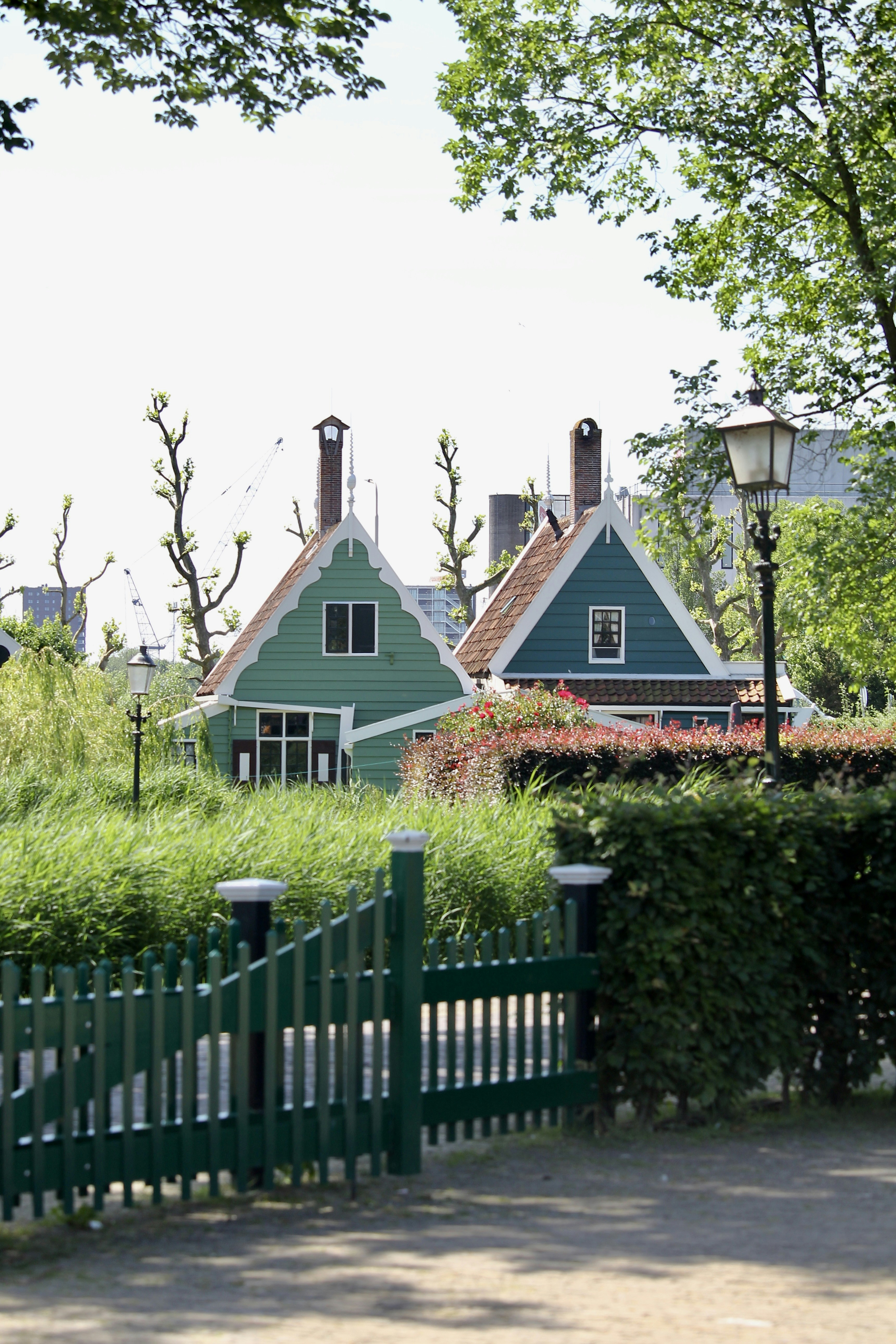 Pastel cottages beyond a green picket fence