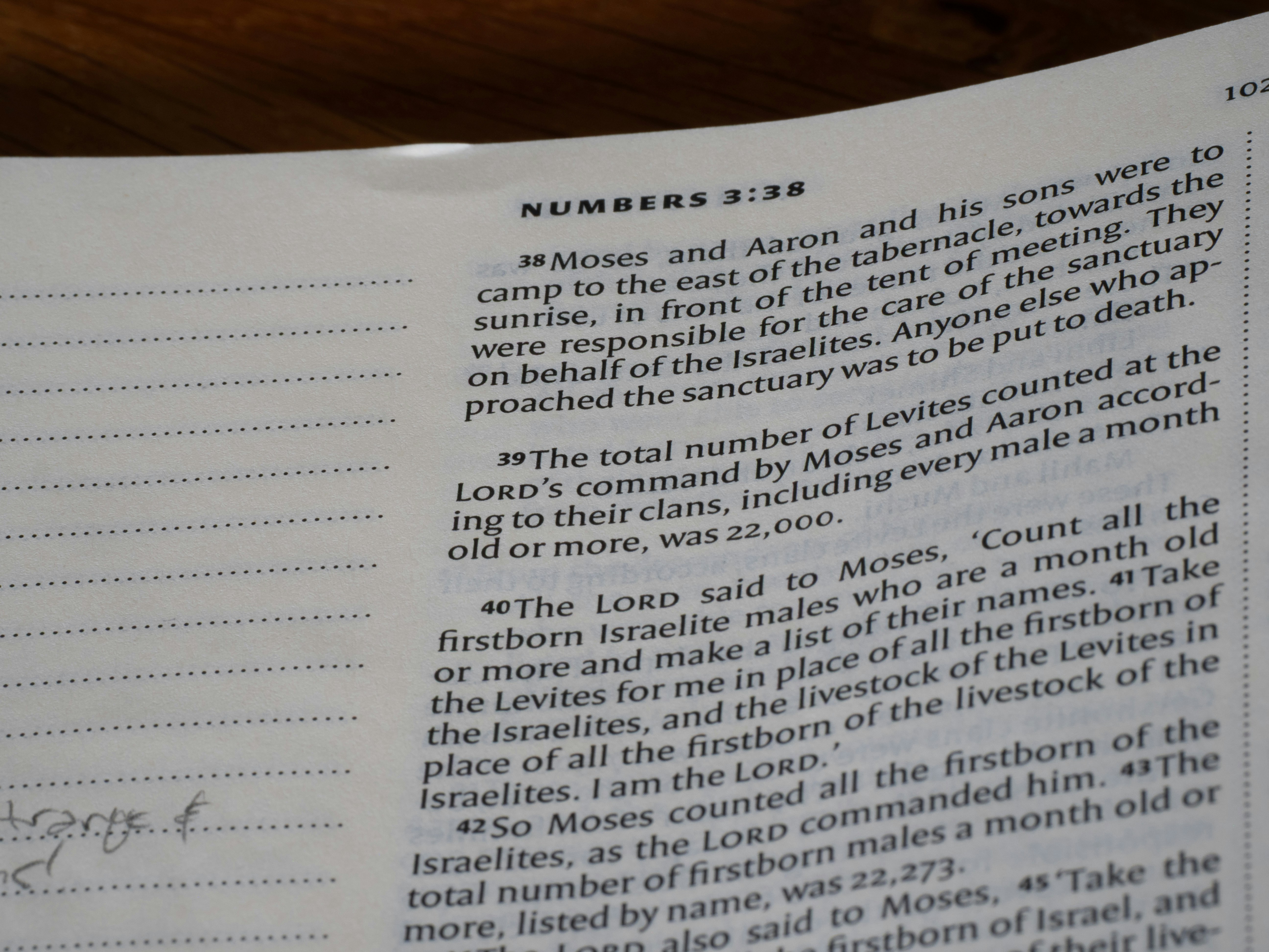 Scripture in Focus: Verses Framed by a Weathered Page