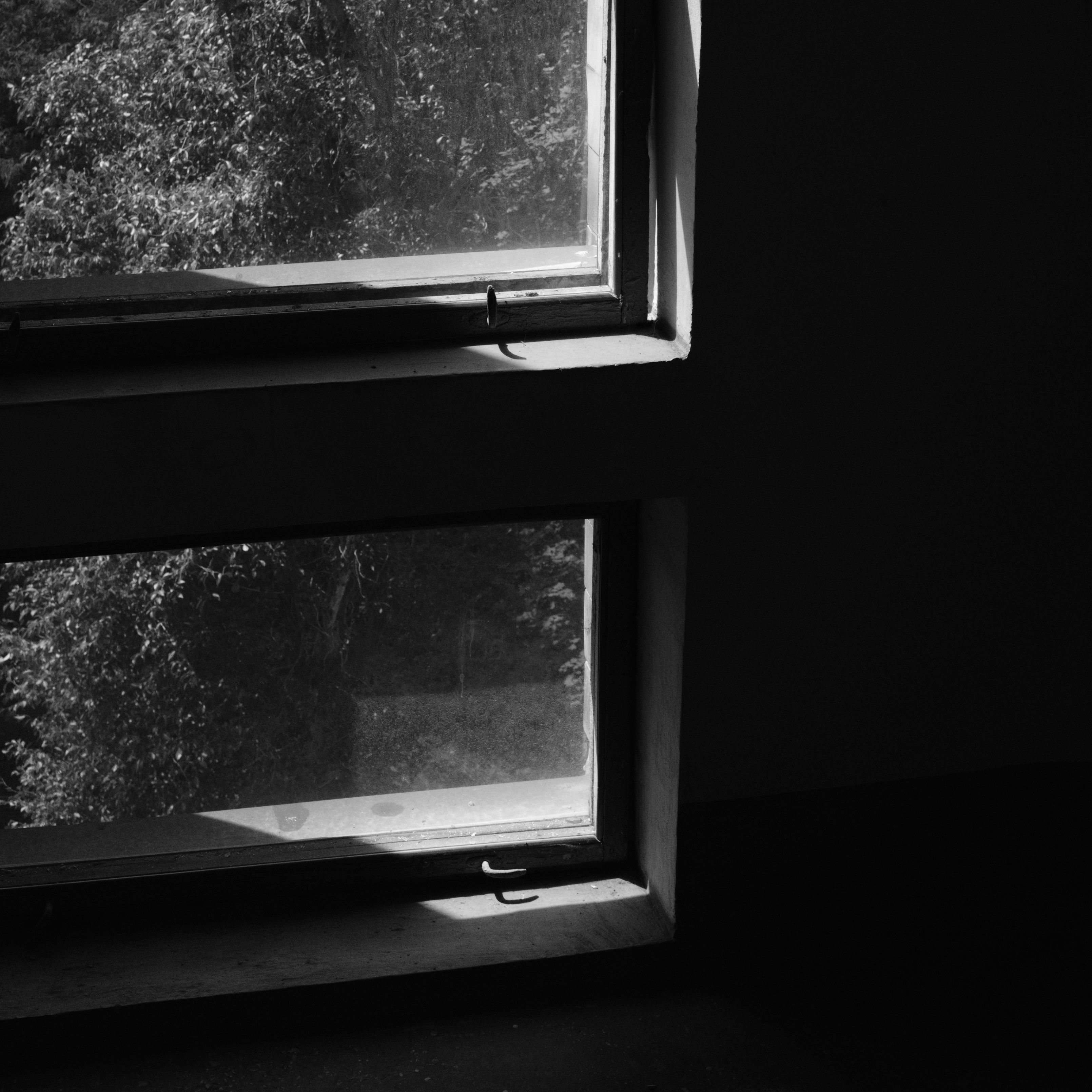 Quiet Window, Silent Forest