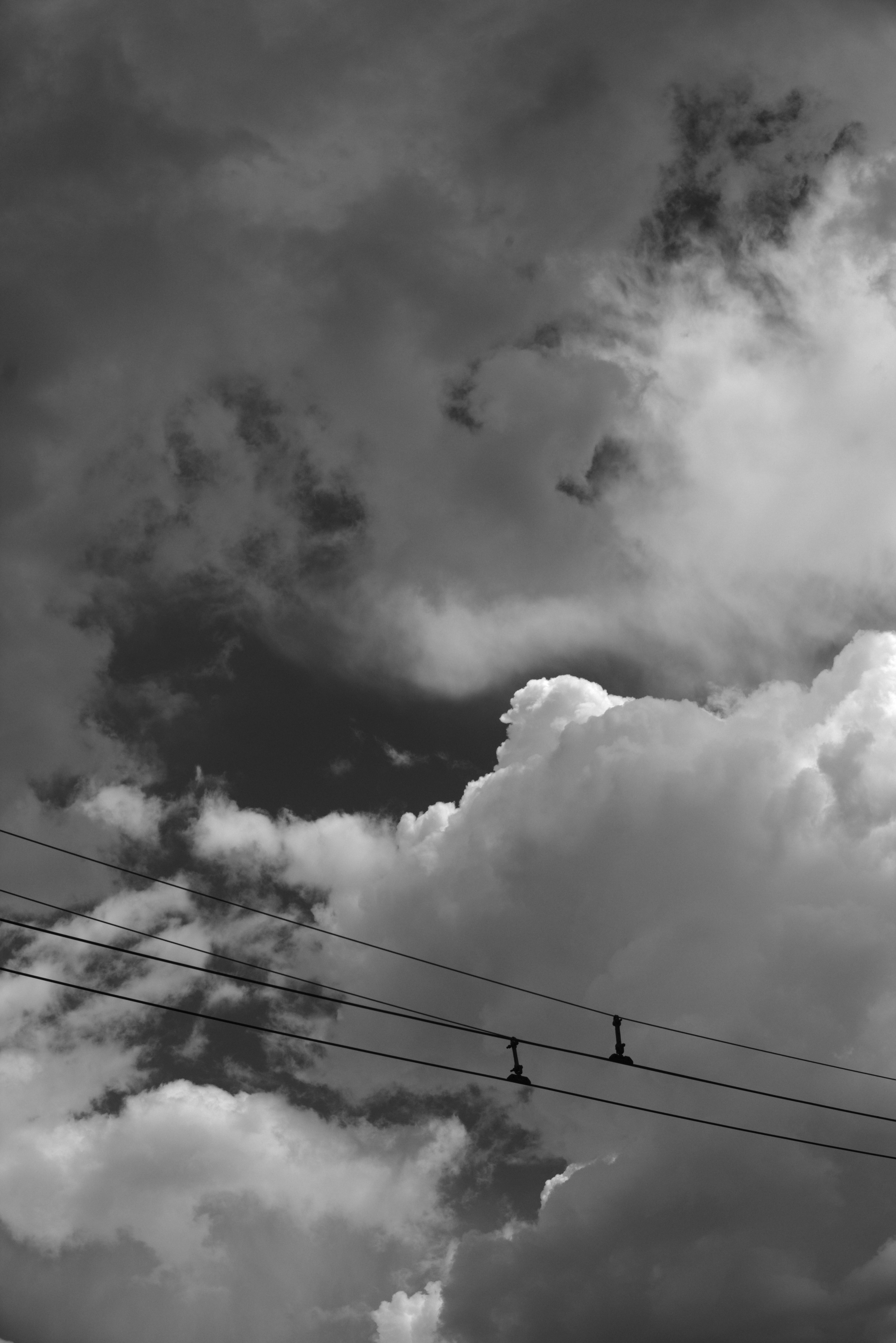Cables Across a Sky of Contrasts