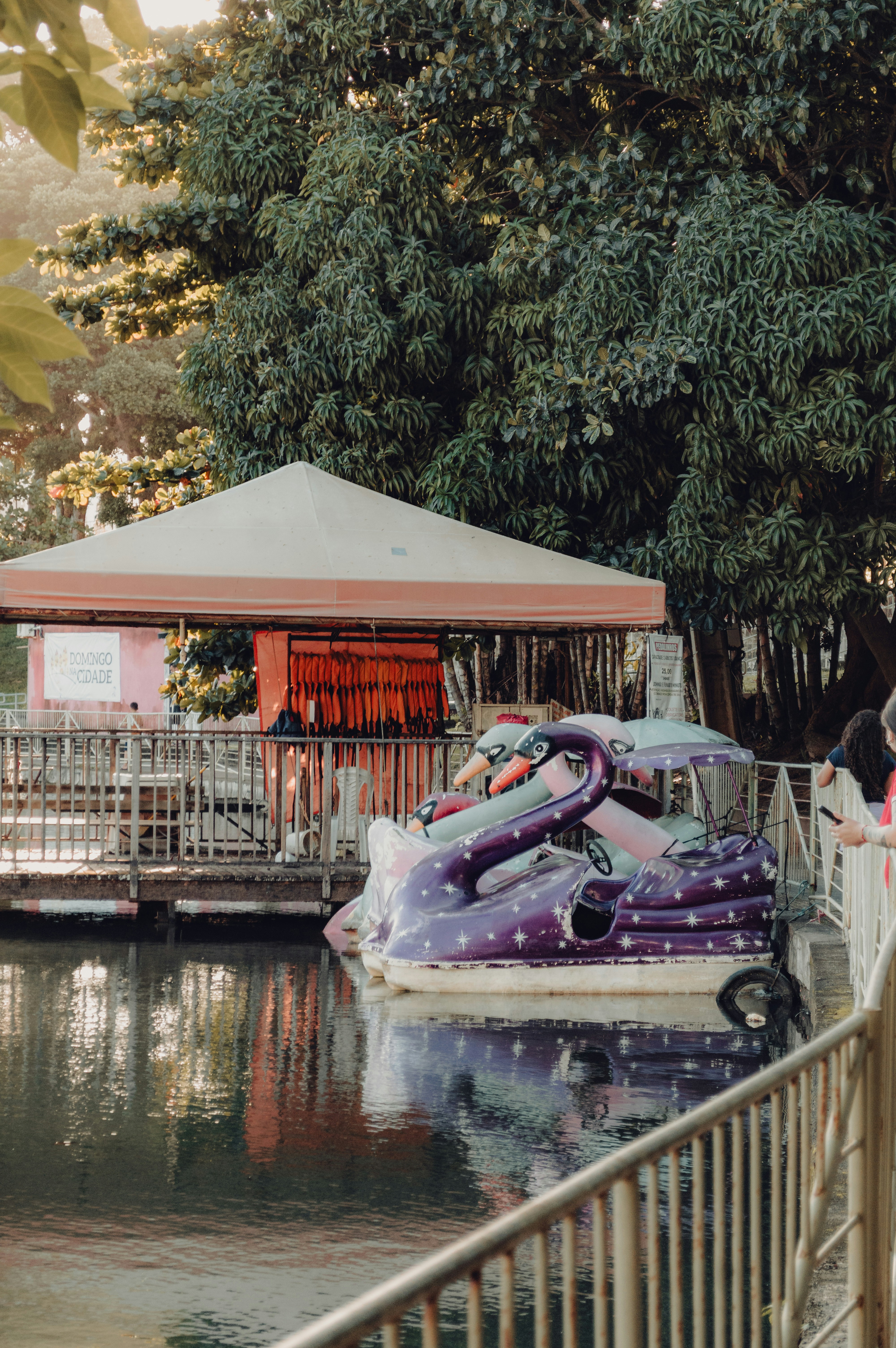 Purple watercraft near the shelter by the pond at golden hour