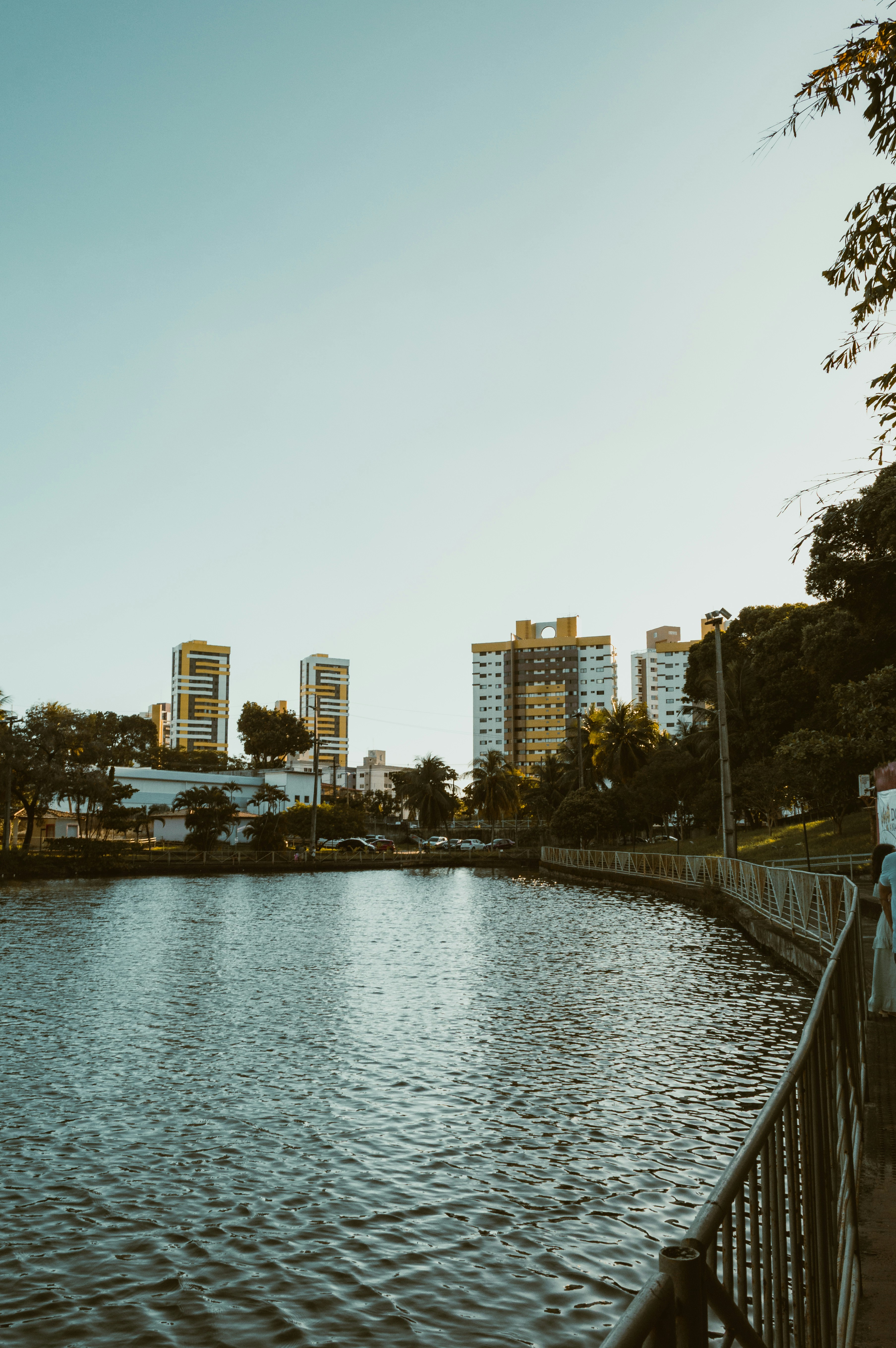 Riverside Skyline Fringe: Calm Lake and Urban Cinescape