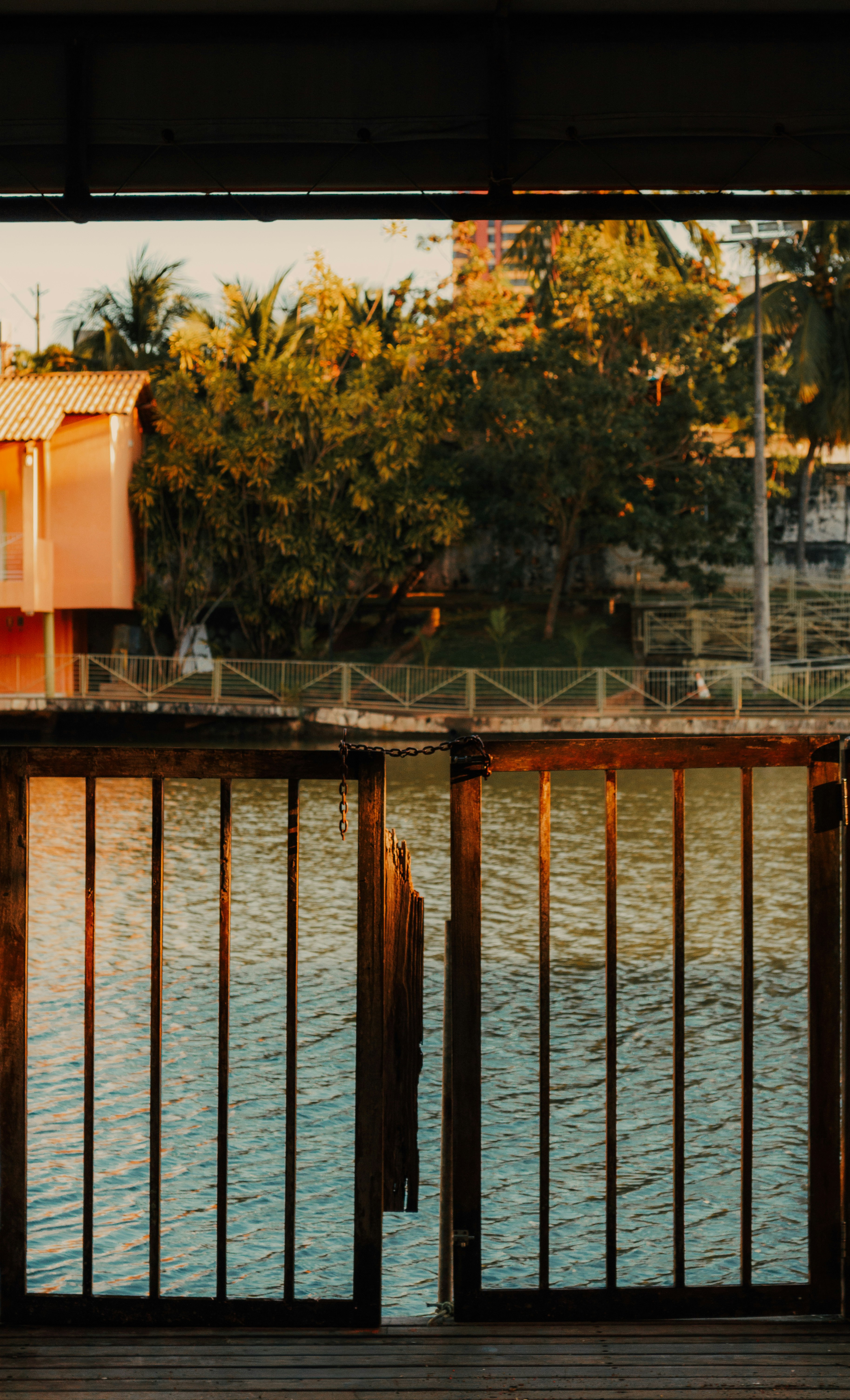Sunlit Waterfront Through a Guardrail