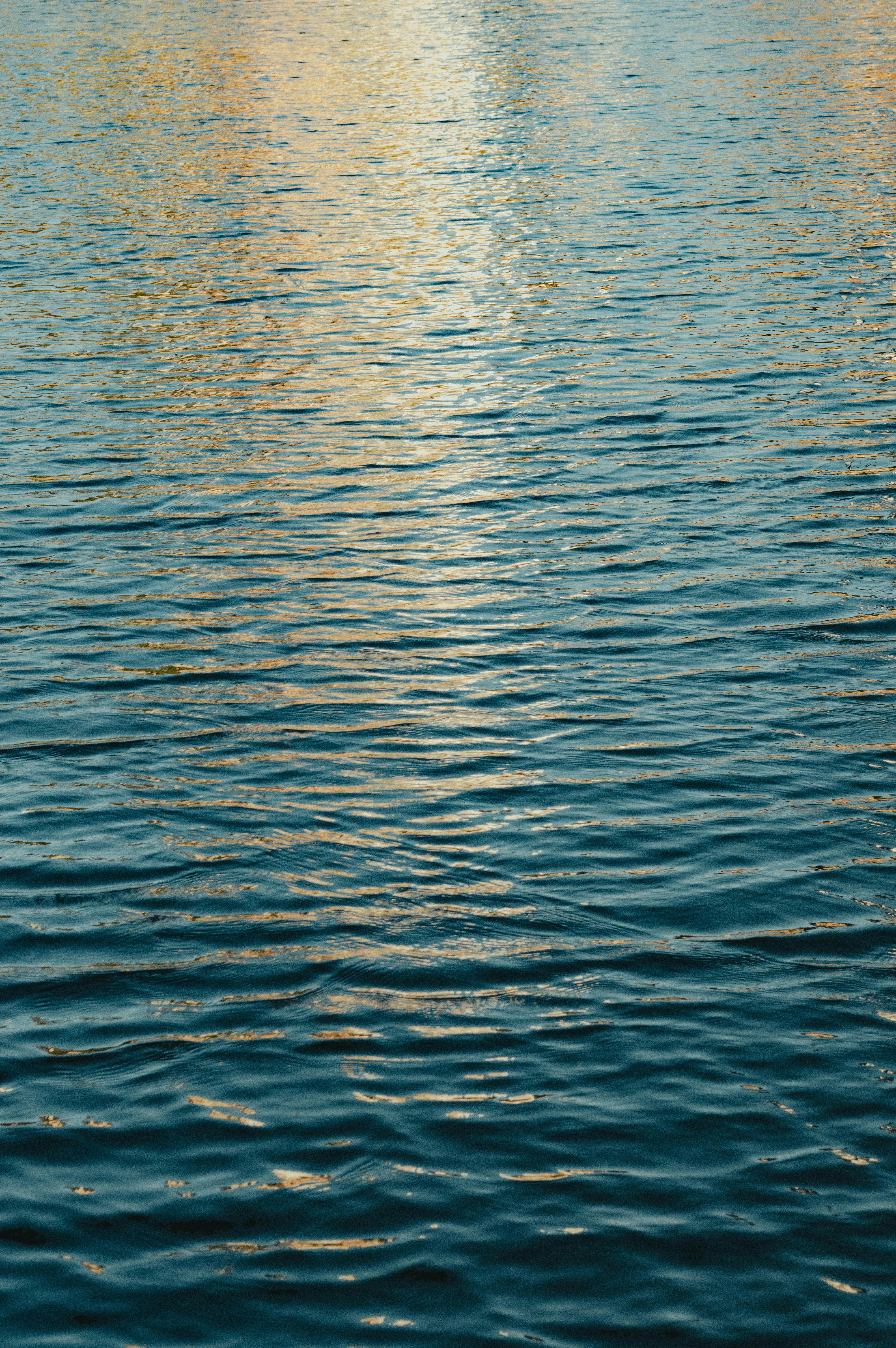 Golden ripples at dusk: a tranquil river surface