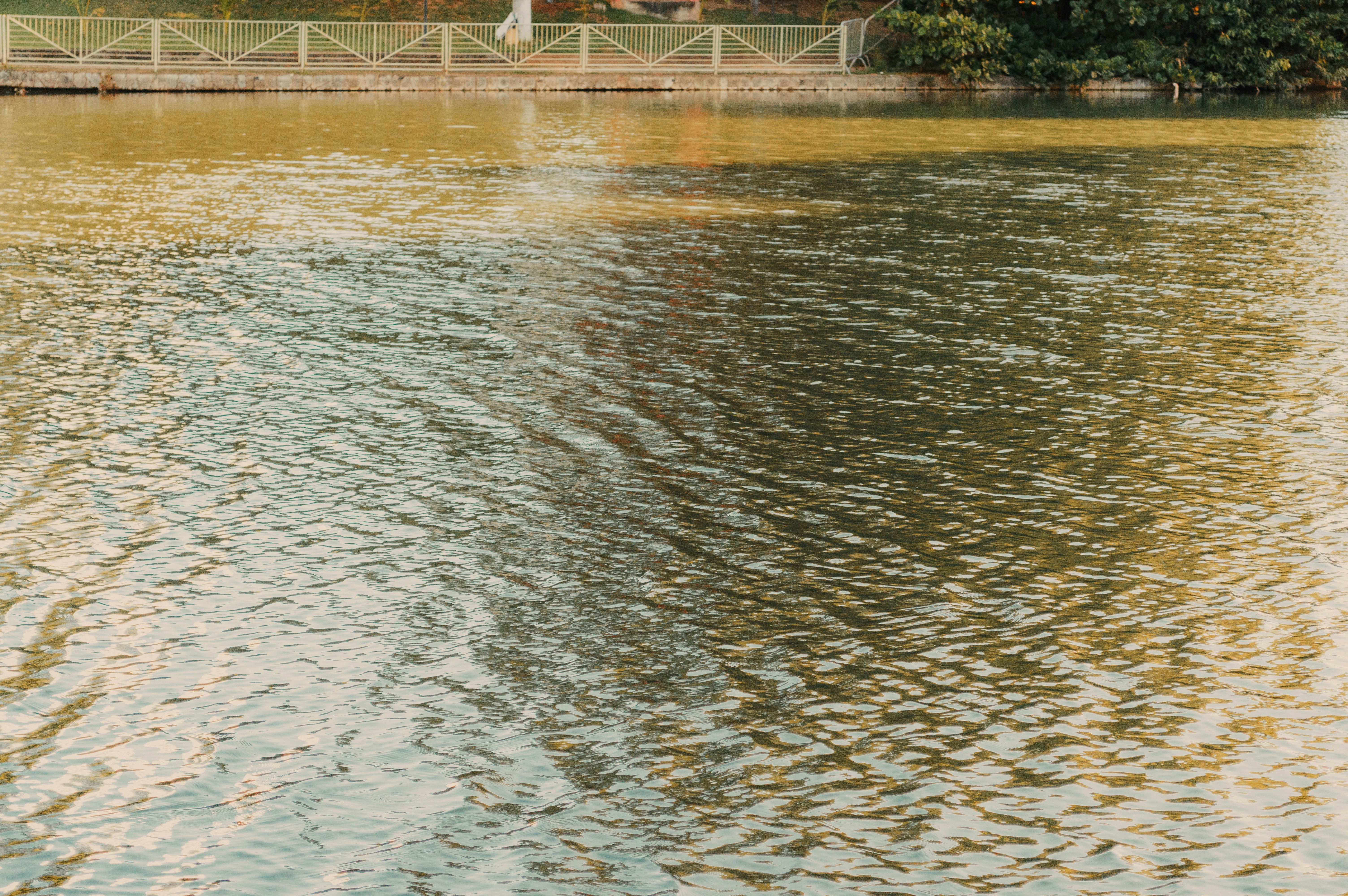 Rippled River Light Reflects a Quiet Day by the Riverside Walkway