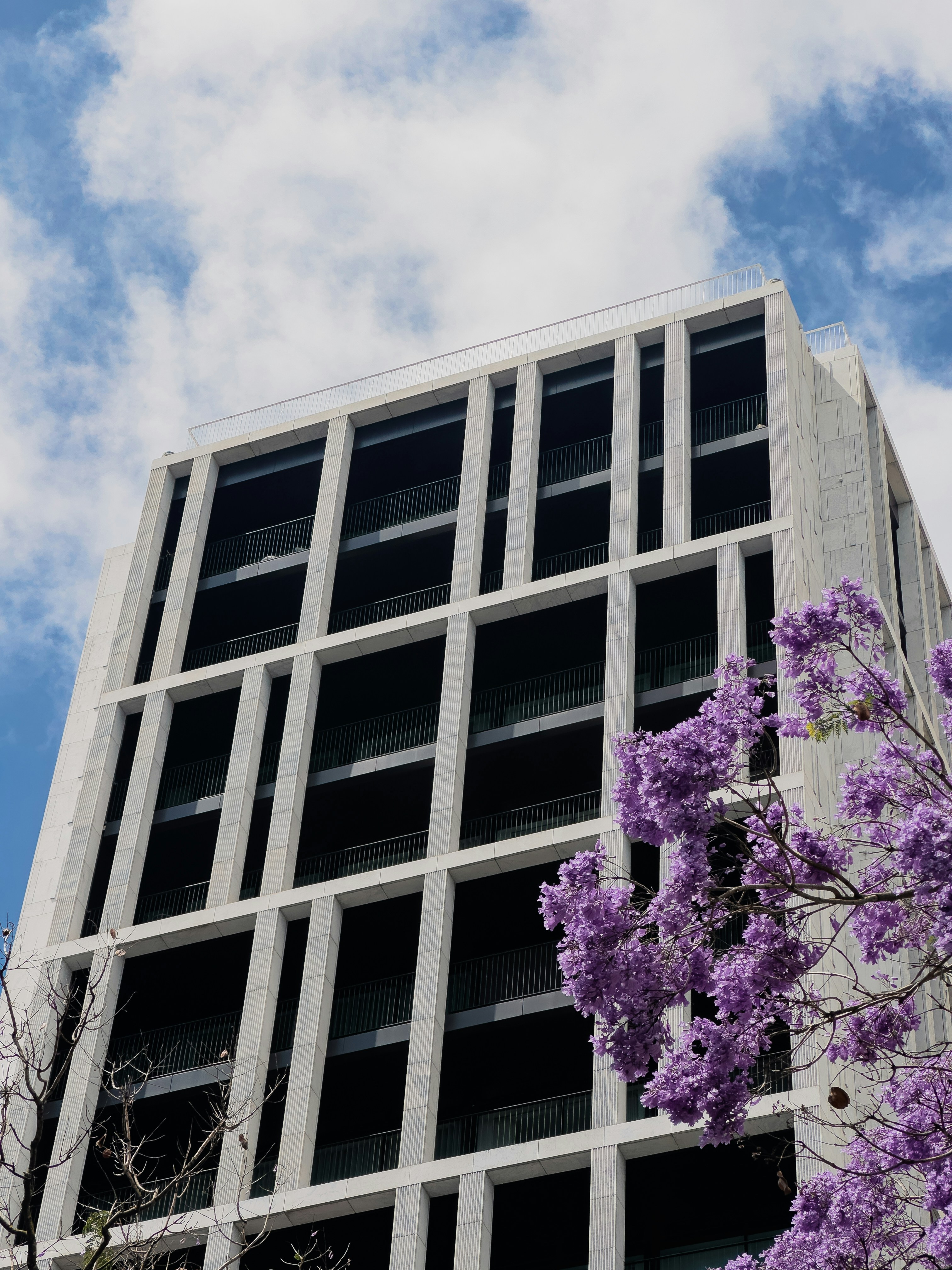 Concrete Grid Against Sky: A High-Rloor View with Violet Blooms