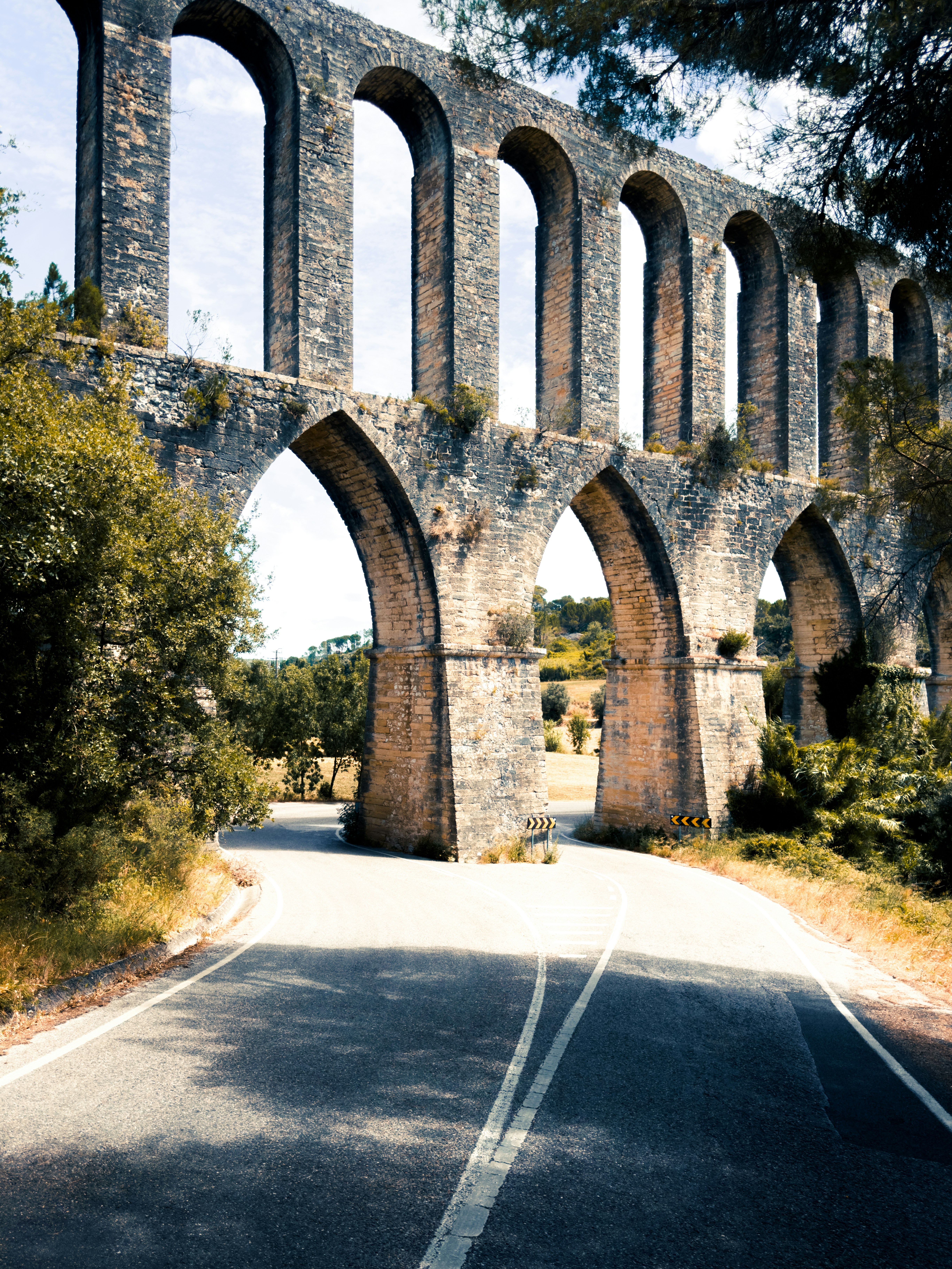Ancient Arcades Over a Winding Farm Road