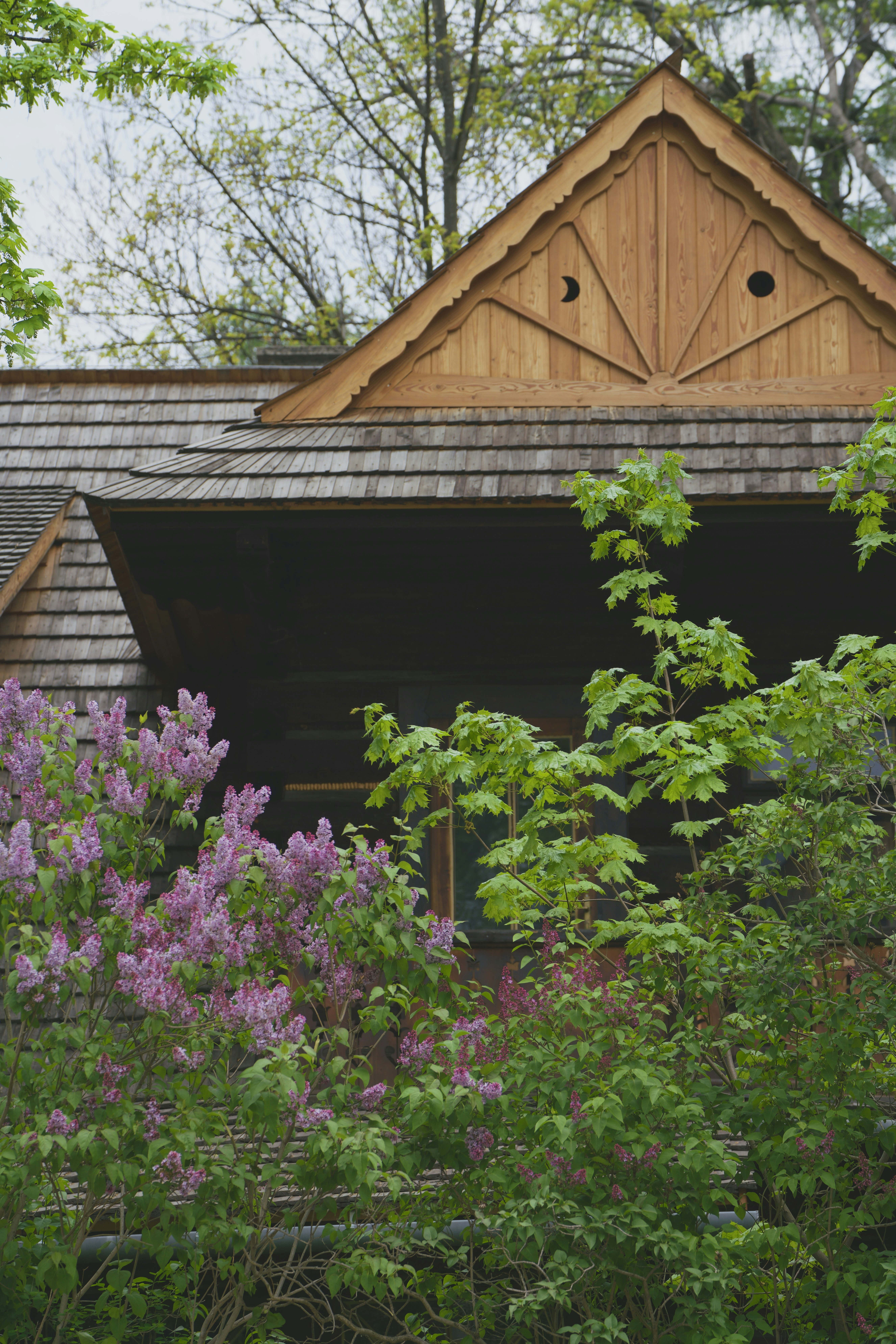 Carved Gable Overgrowth