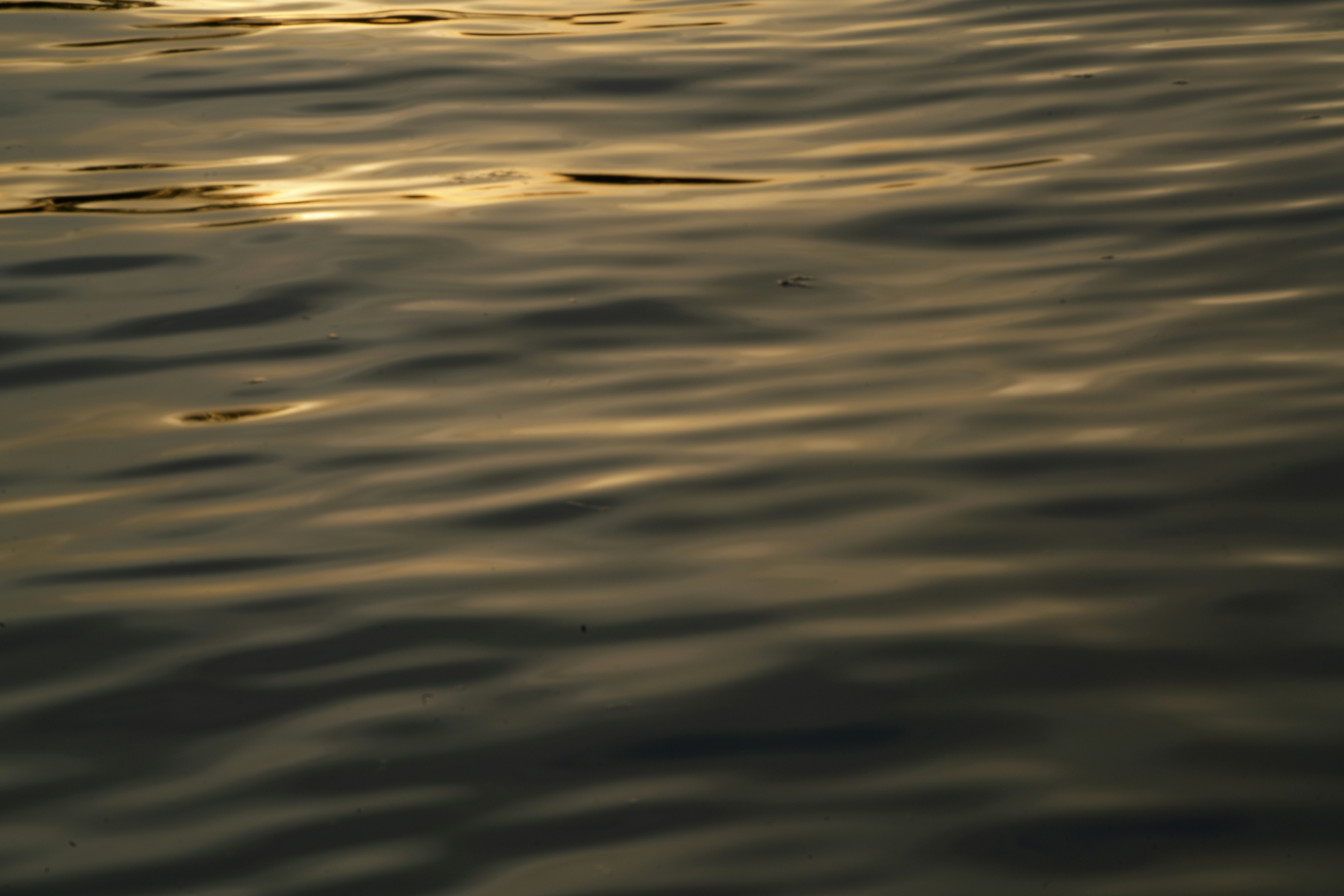 Golden Ripples at Dusk