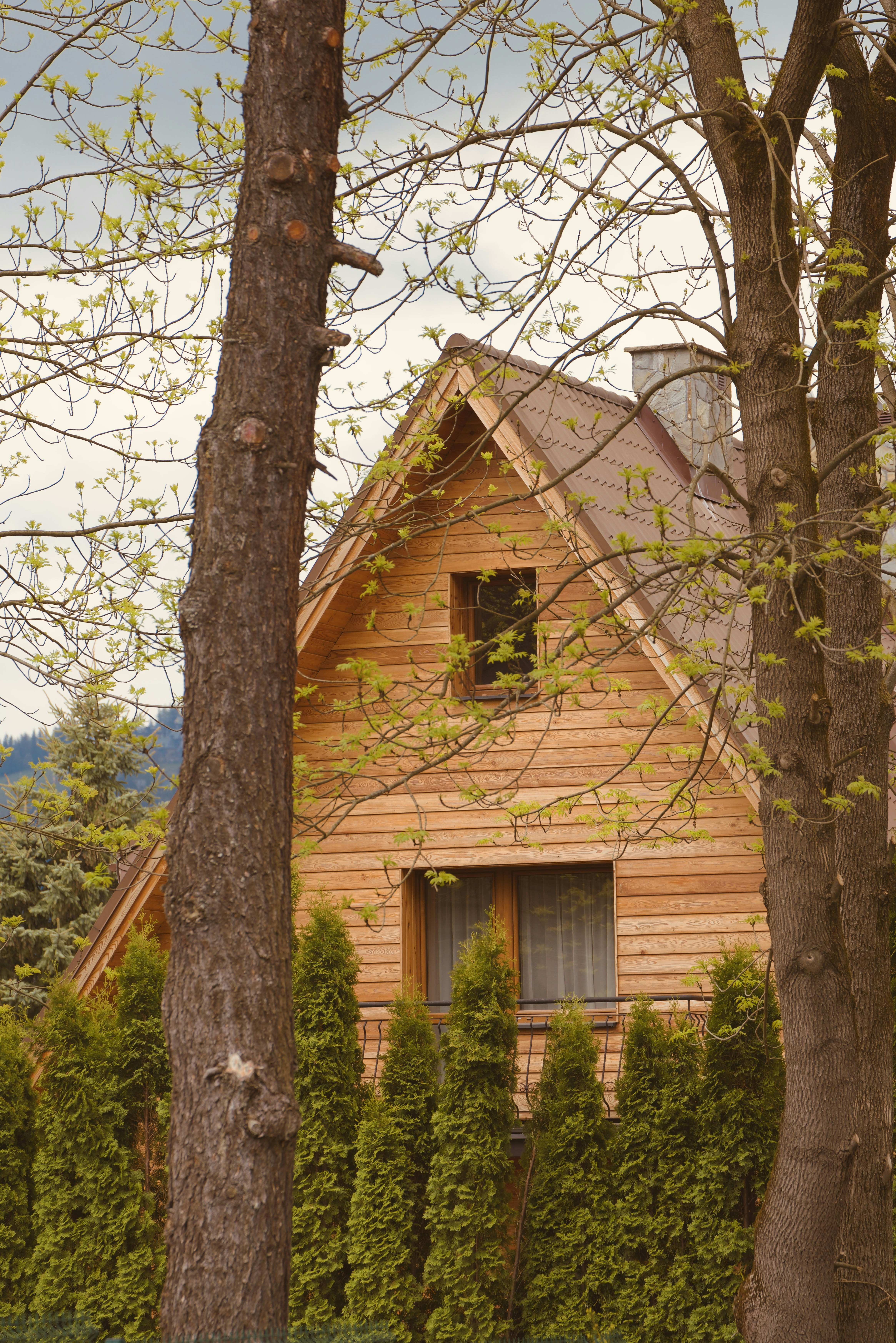 Cozy A-Frame Retreat Hidden Behind Spring Foliage