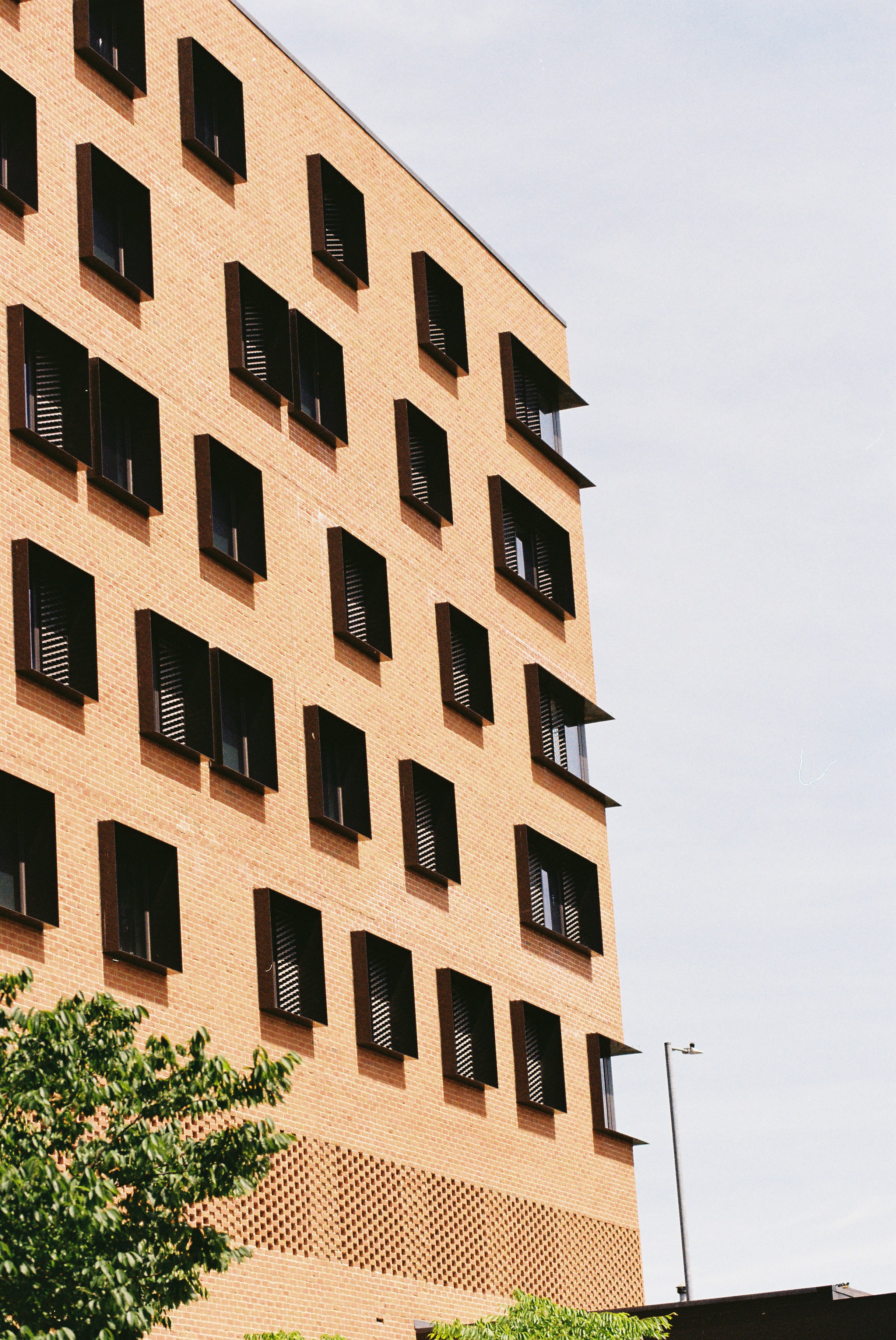 Brick Facade in Repeating Windows Under a Clear Sky