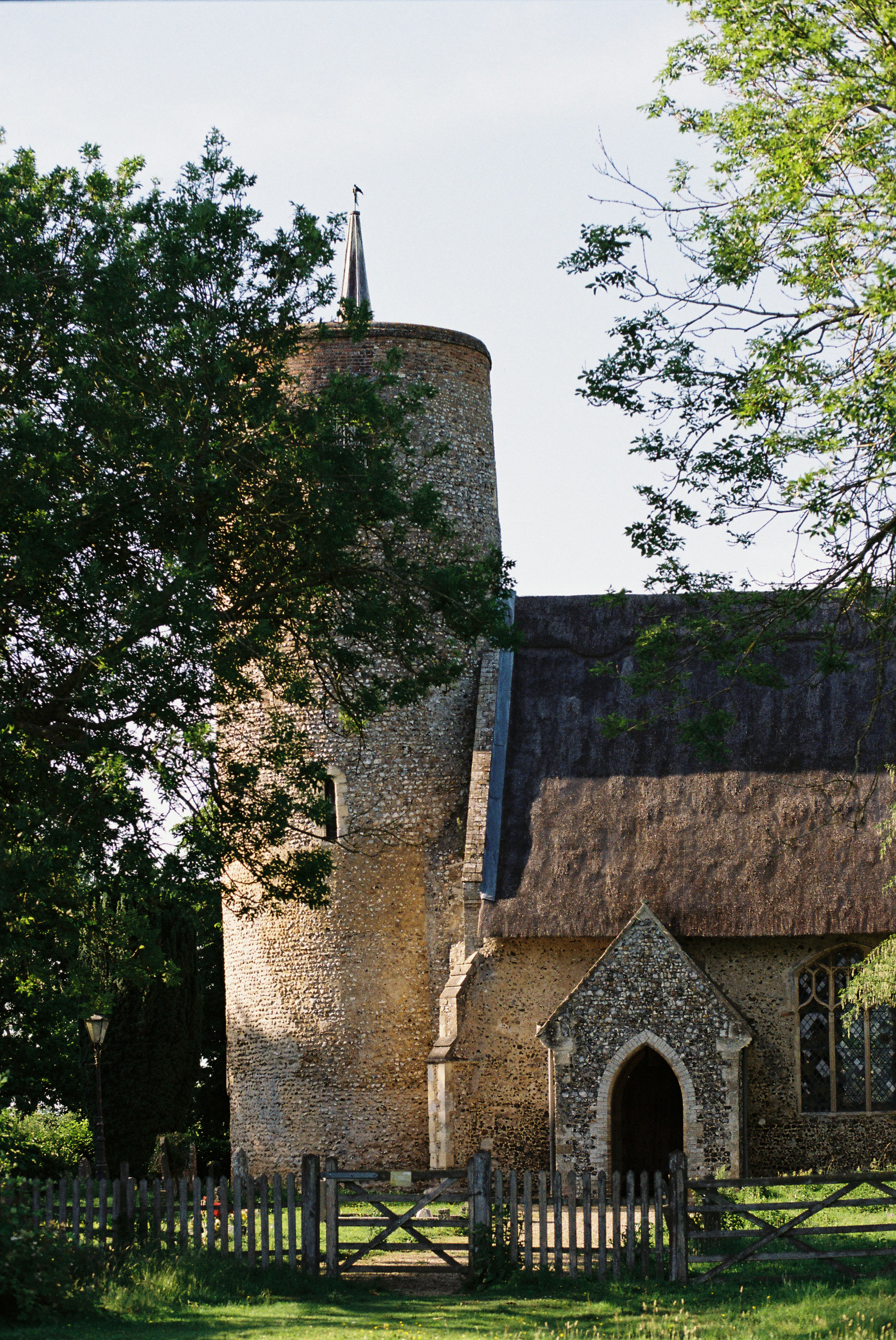 Ivory Tower Beneath a Green Canopy
