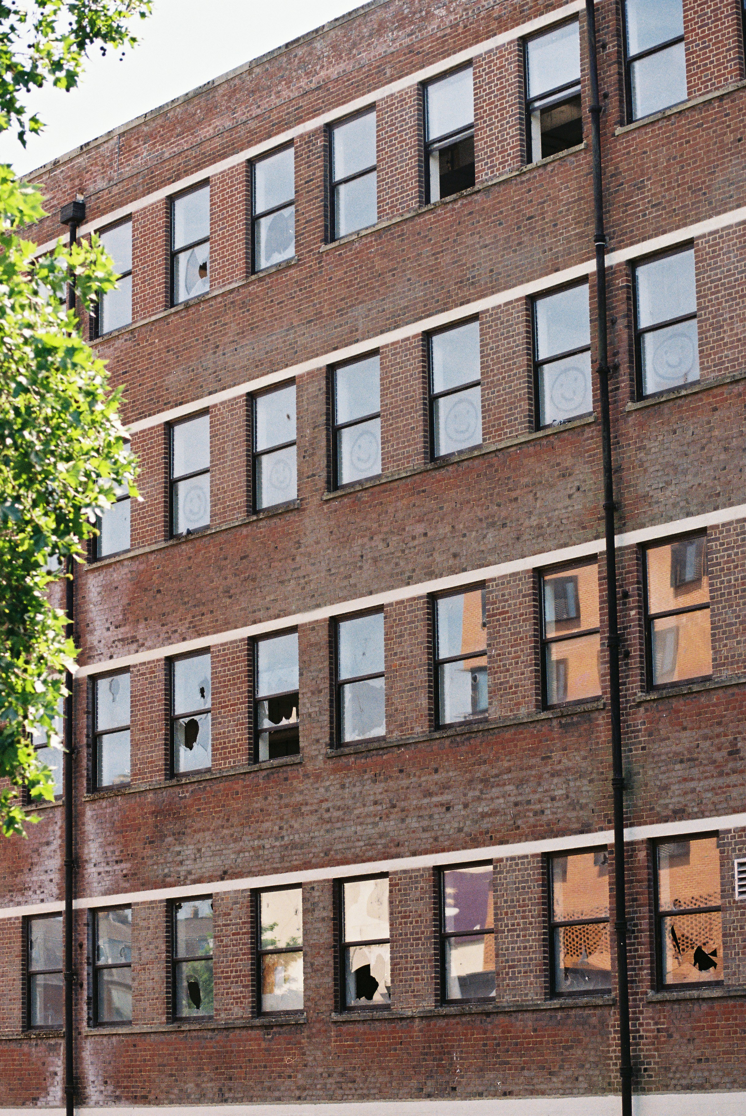 Brick Facade Lattice: Windows and Reflections on a Sunlit Campus Wall