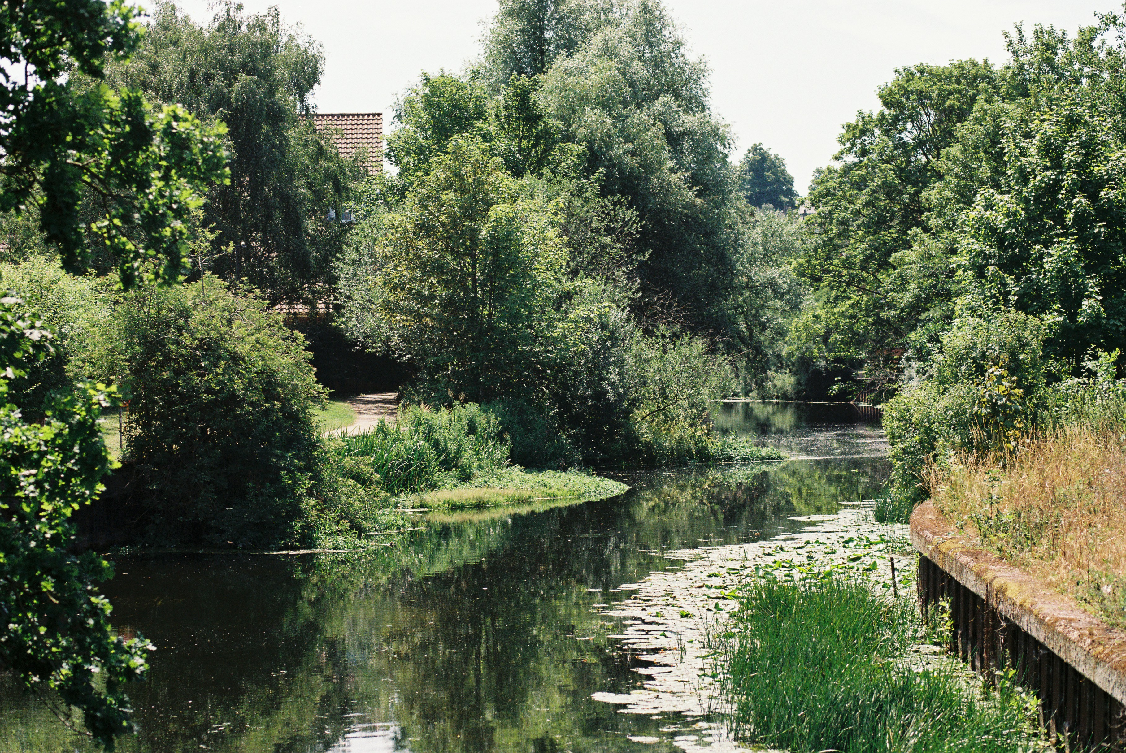 Riverside in Quiet Light: A Town Bridge Framed by Greenery