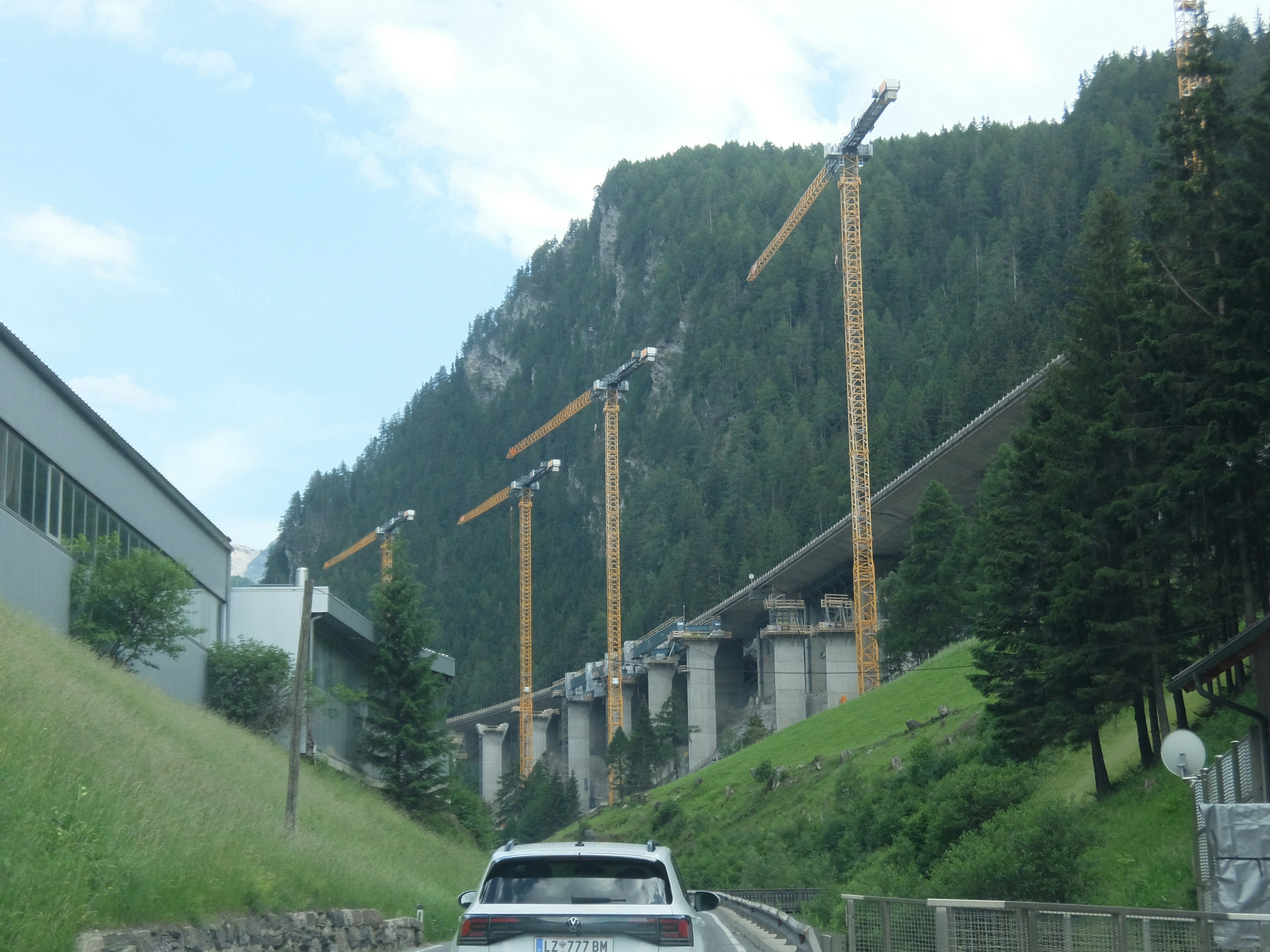 Crane-Crowned Valley: Construction Amid Alpine Pines