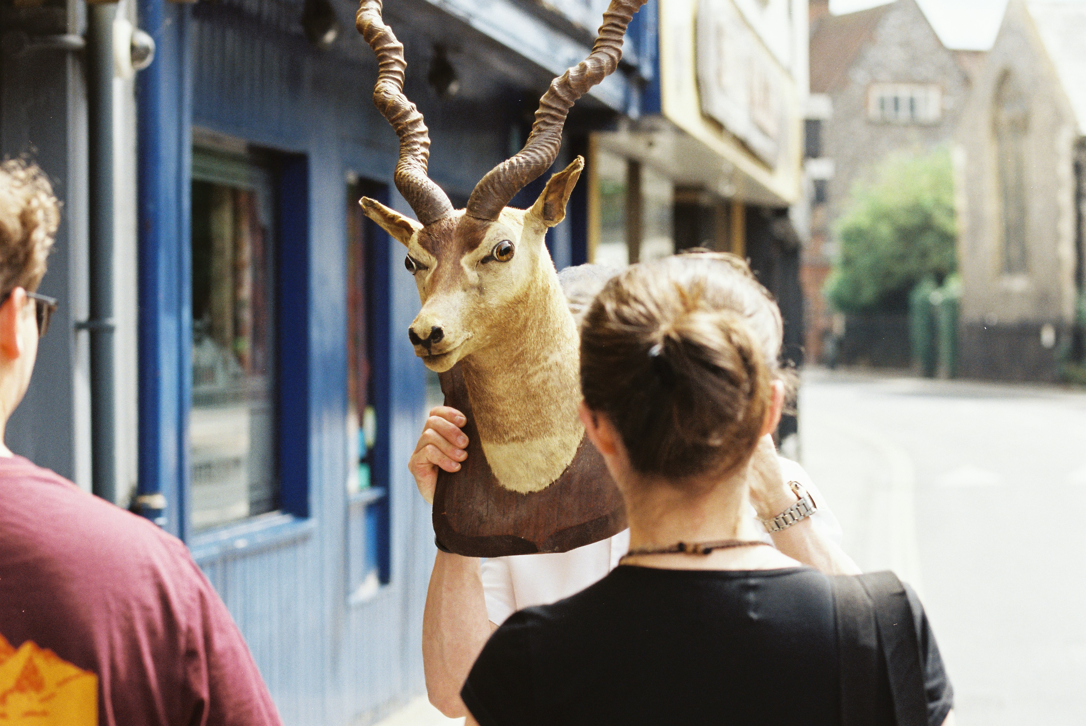 Herald of the High Street: The Masked Doe in a Tourist Alley