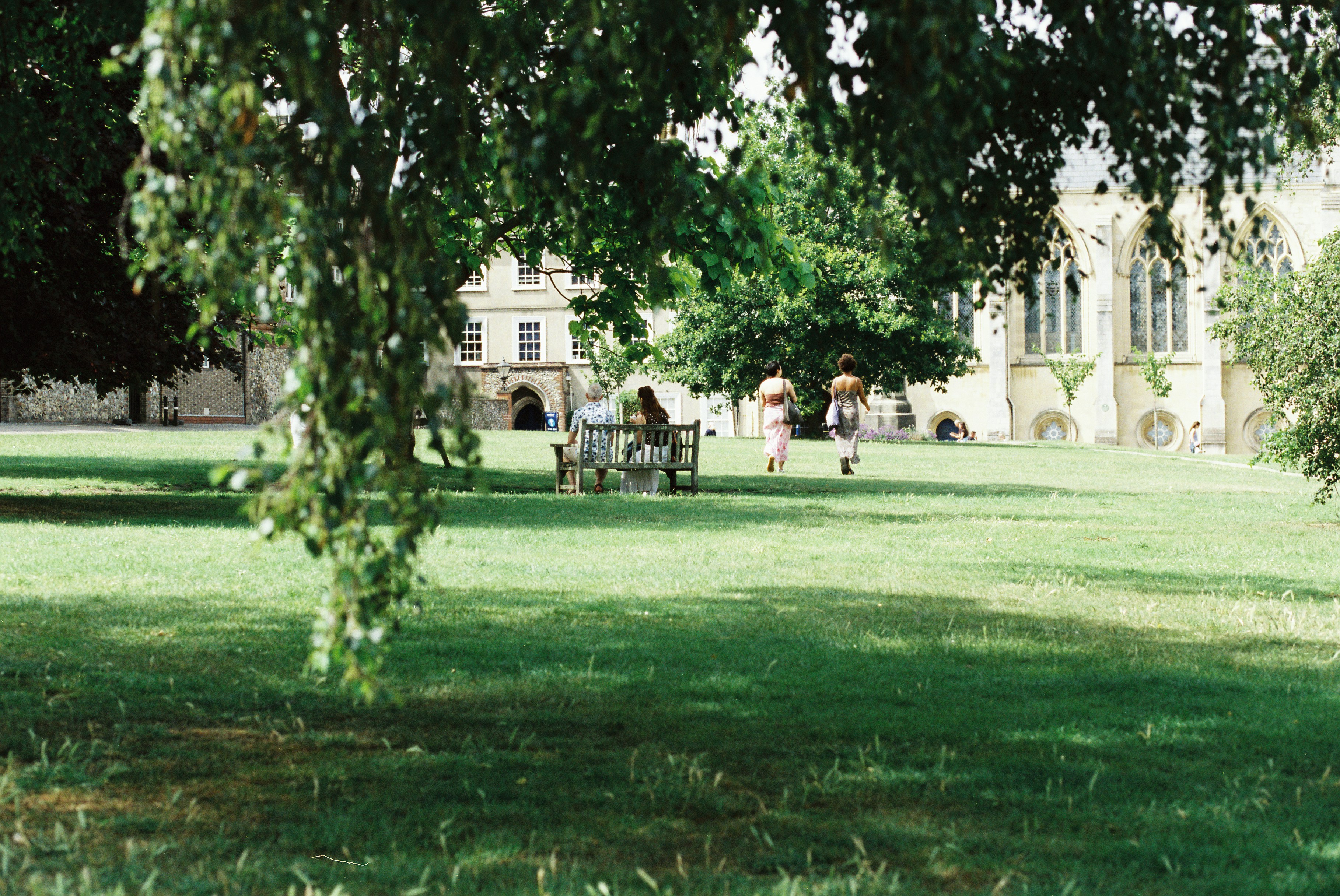 Pastoral Campus Lawn with Distant Figures under Dappled Shade