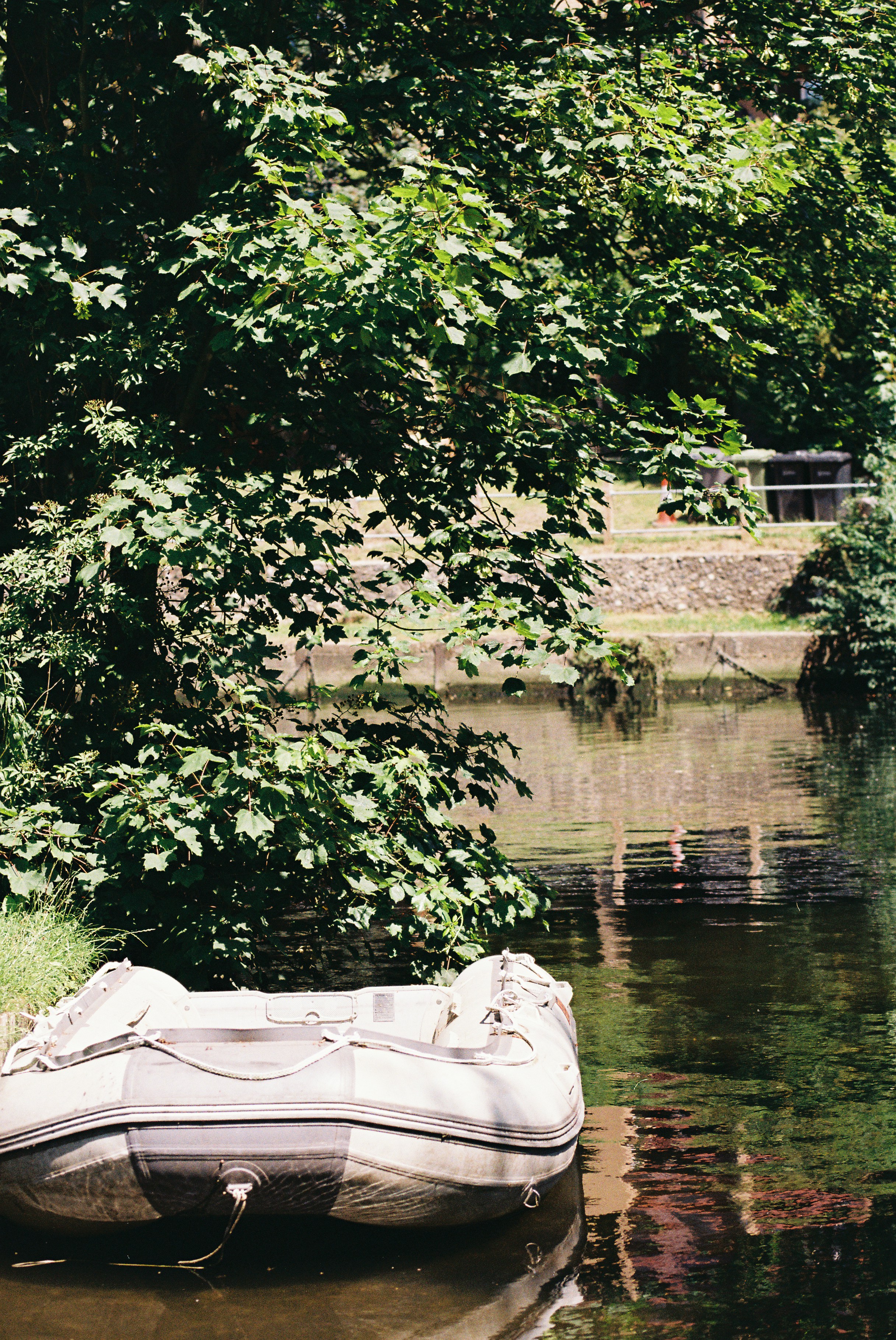 Inflatable Boat at the Water’s Edge Under Dappled Canopy