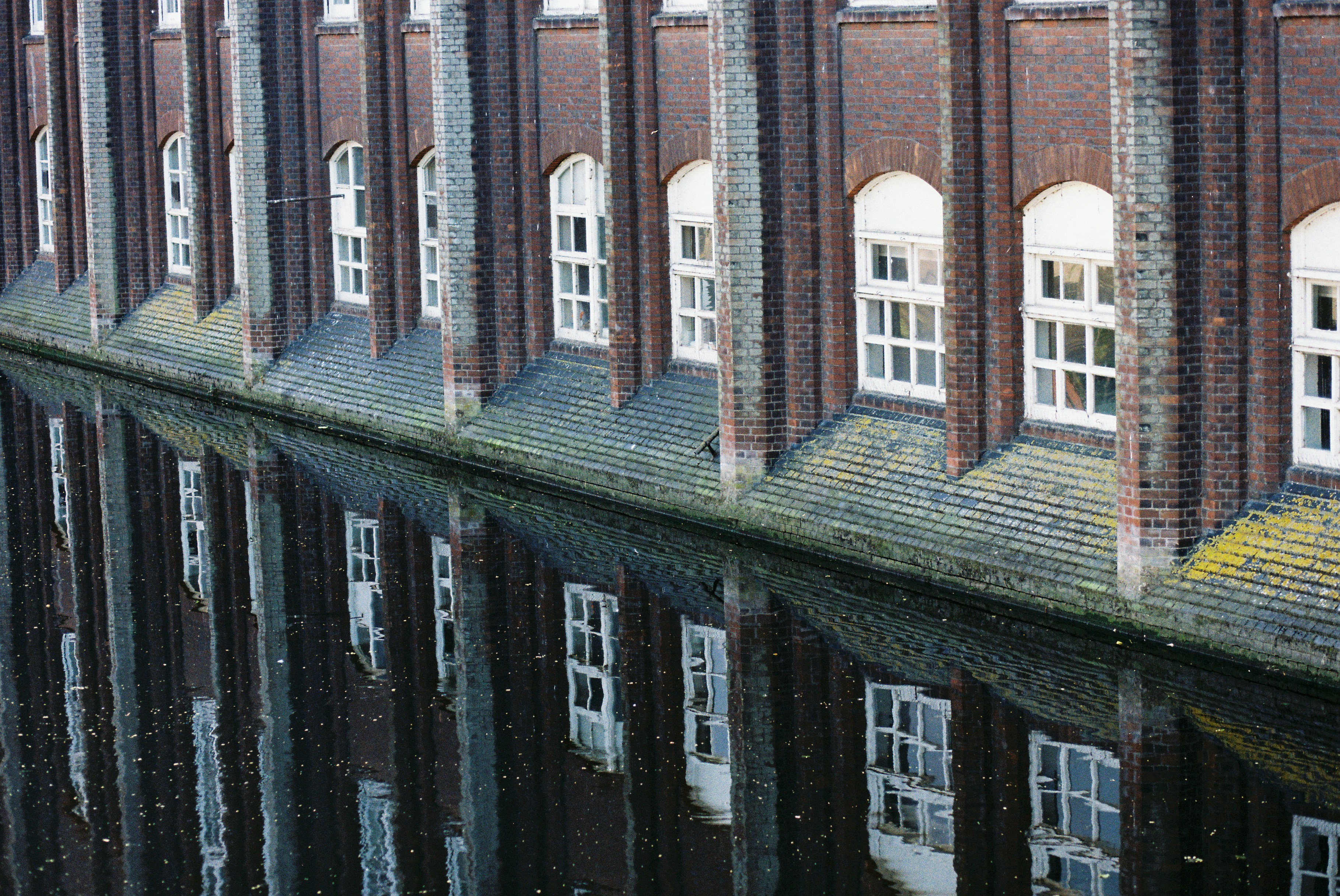 Reflected Brickline: A Quiet Wake Along the Canal Edge