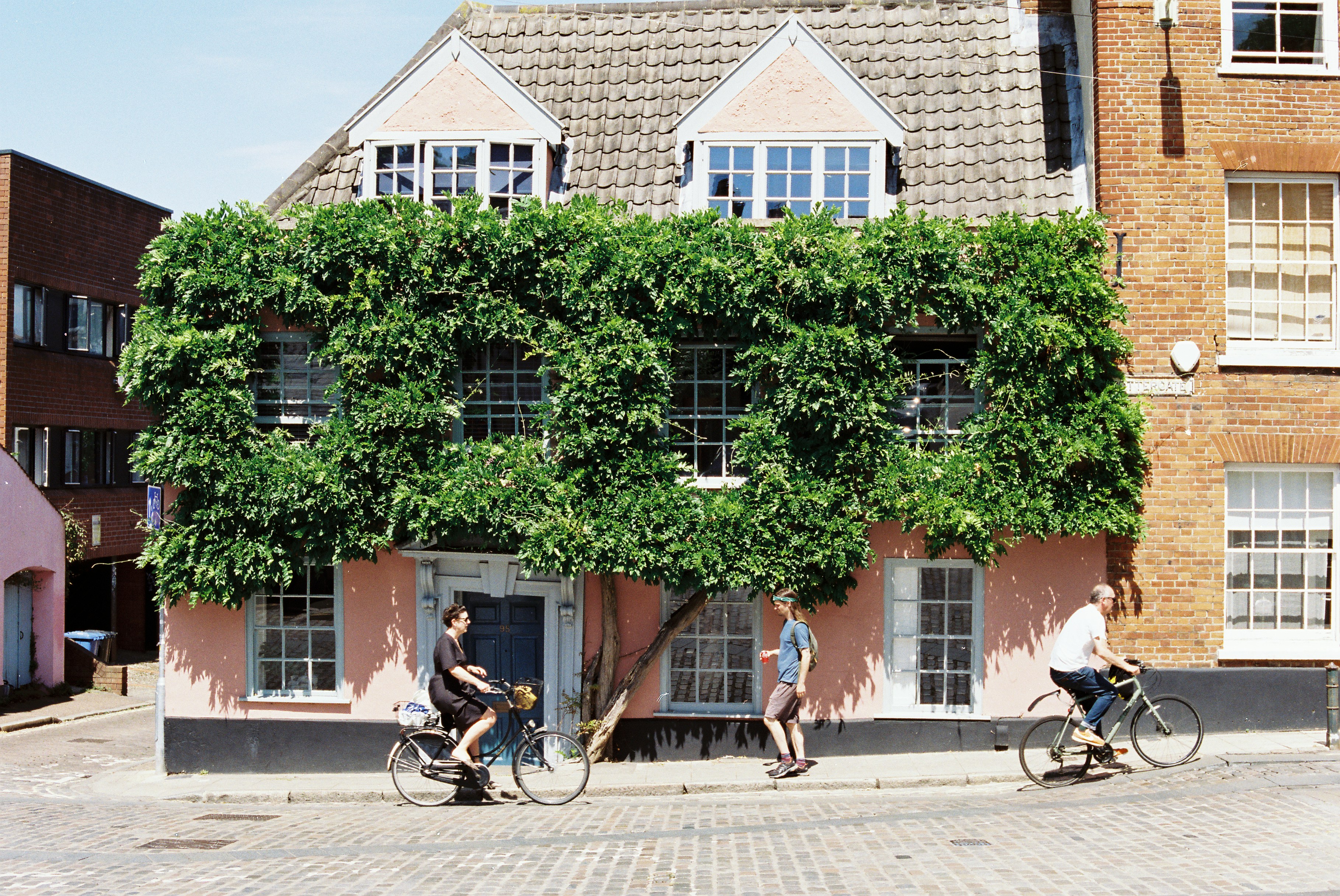 Cyclists and a skater pass a pink house draped with a sprawling trained ivy facade in the sun.
