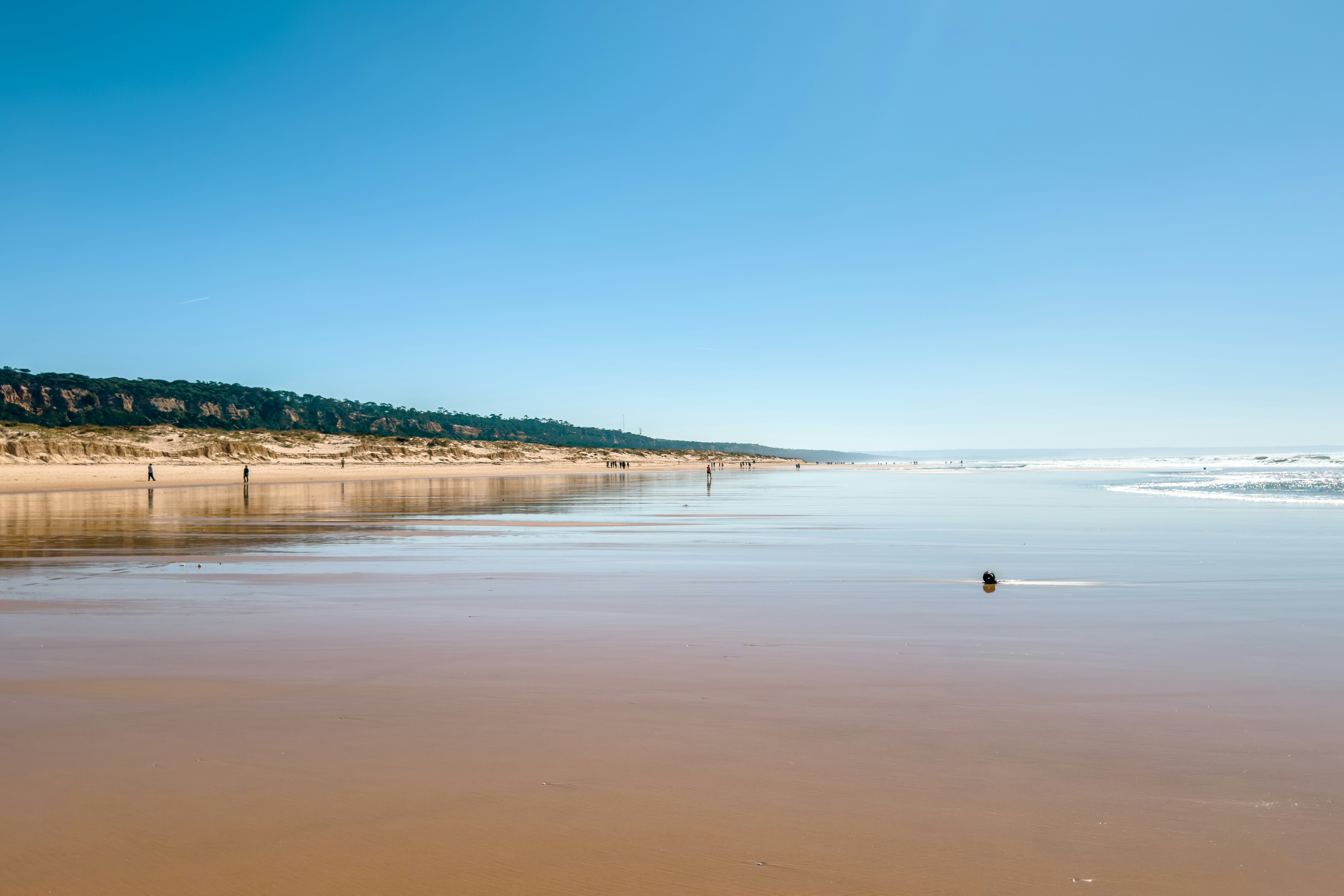 Sunlit Shoreline with Distant Dunes and Calm Surf