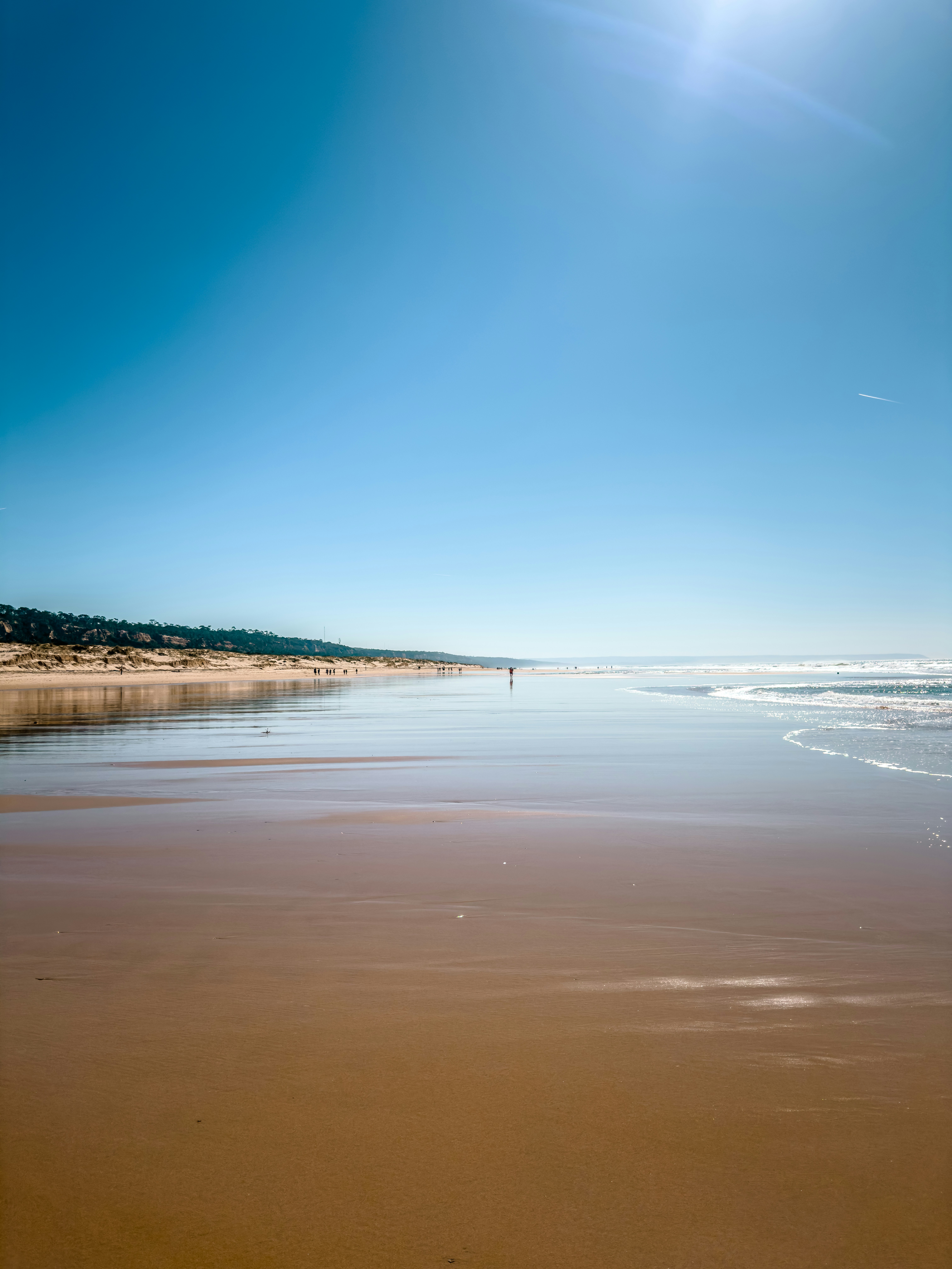Endless Shoreline Under a Wide Blue Sky